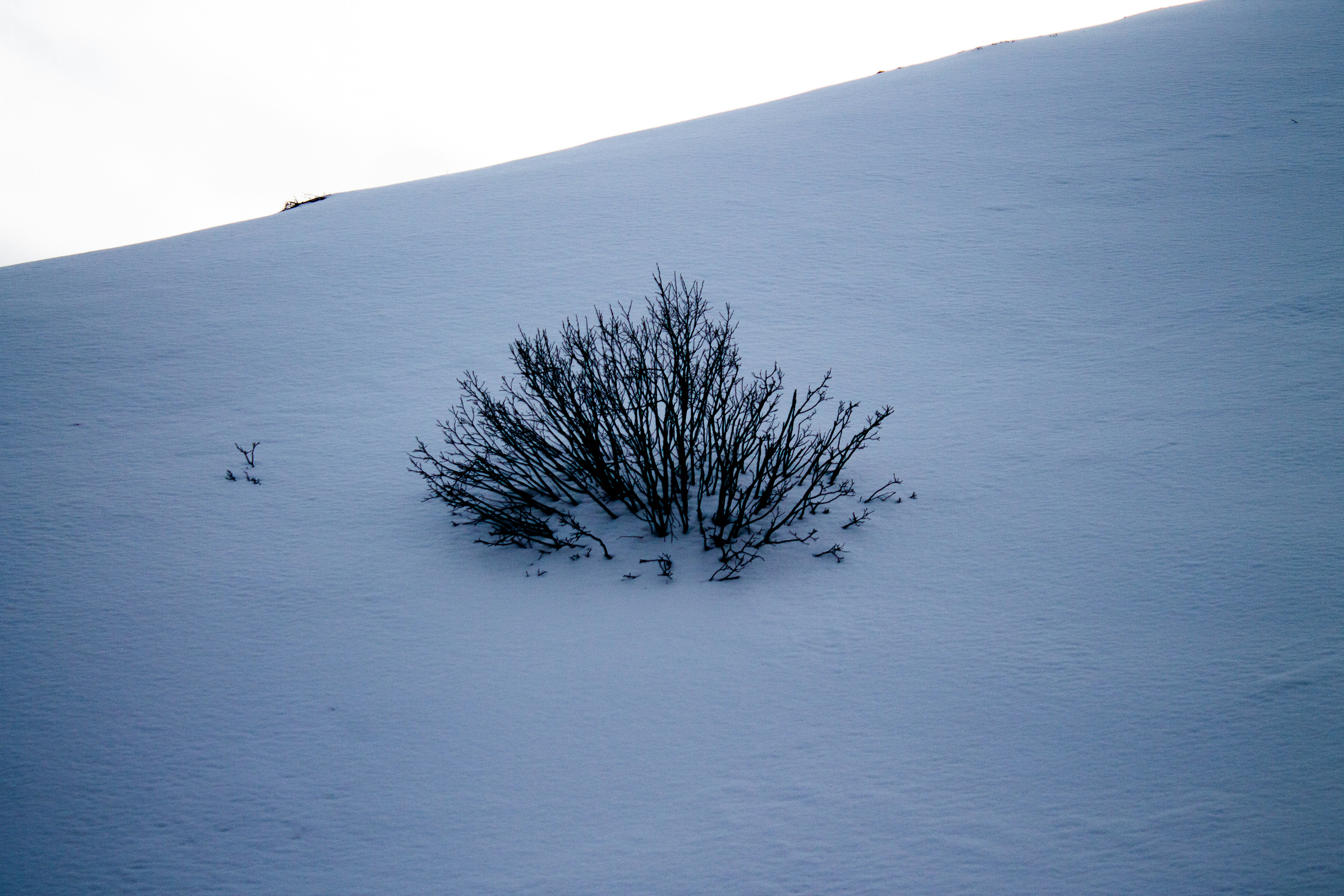 Photo by Three Stars Graphics with Canon EOS 1100D