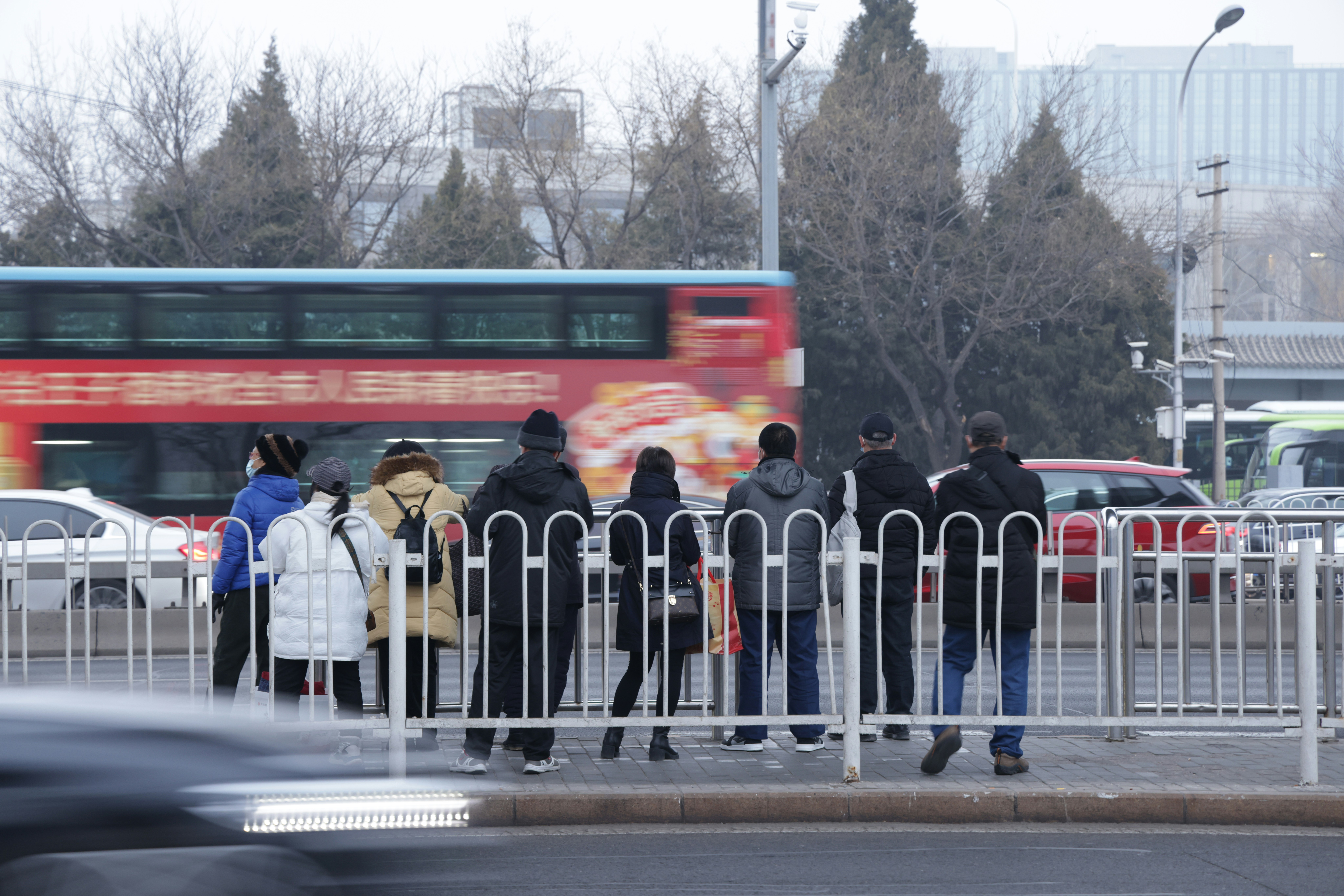 Photo by ACatInABox with Canon EOS R5 C