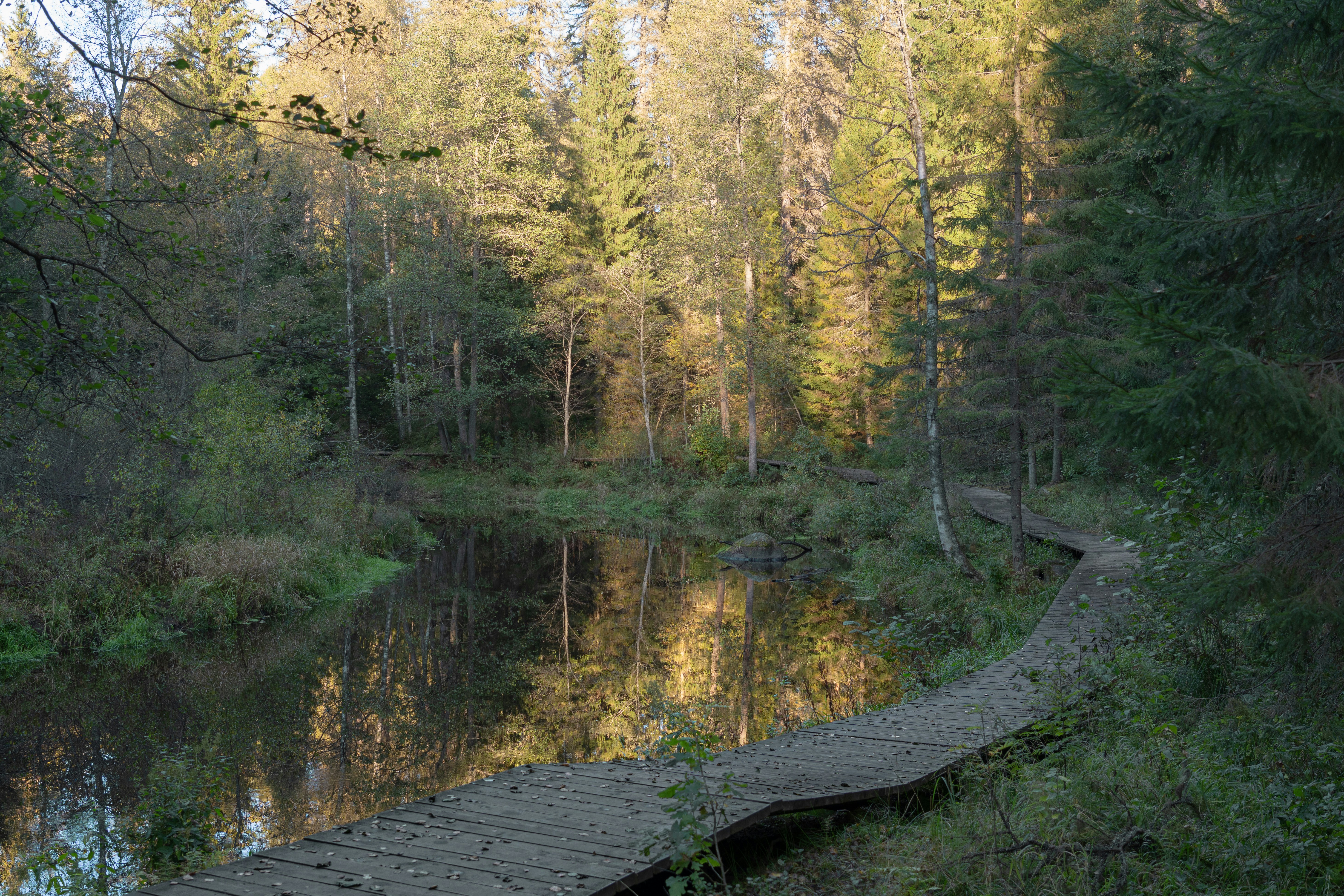 Photo by Eduard Galitsky with Sony Alpha 6700