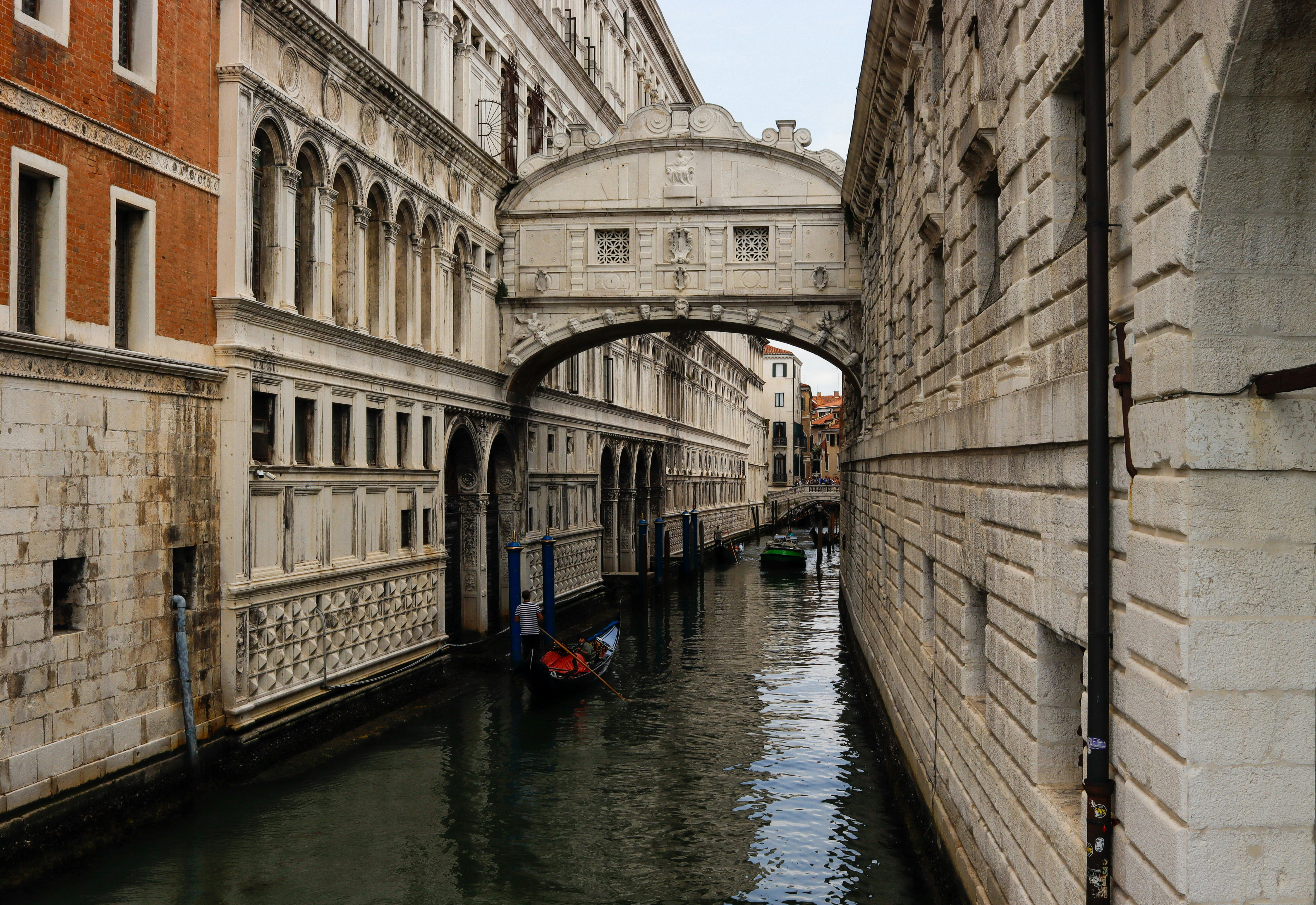 Photo by Joshua Hummell with Canon EOS 850D