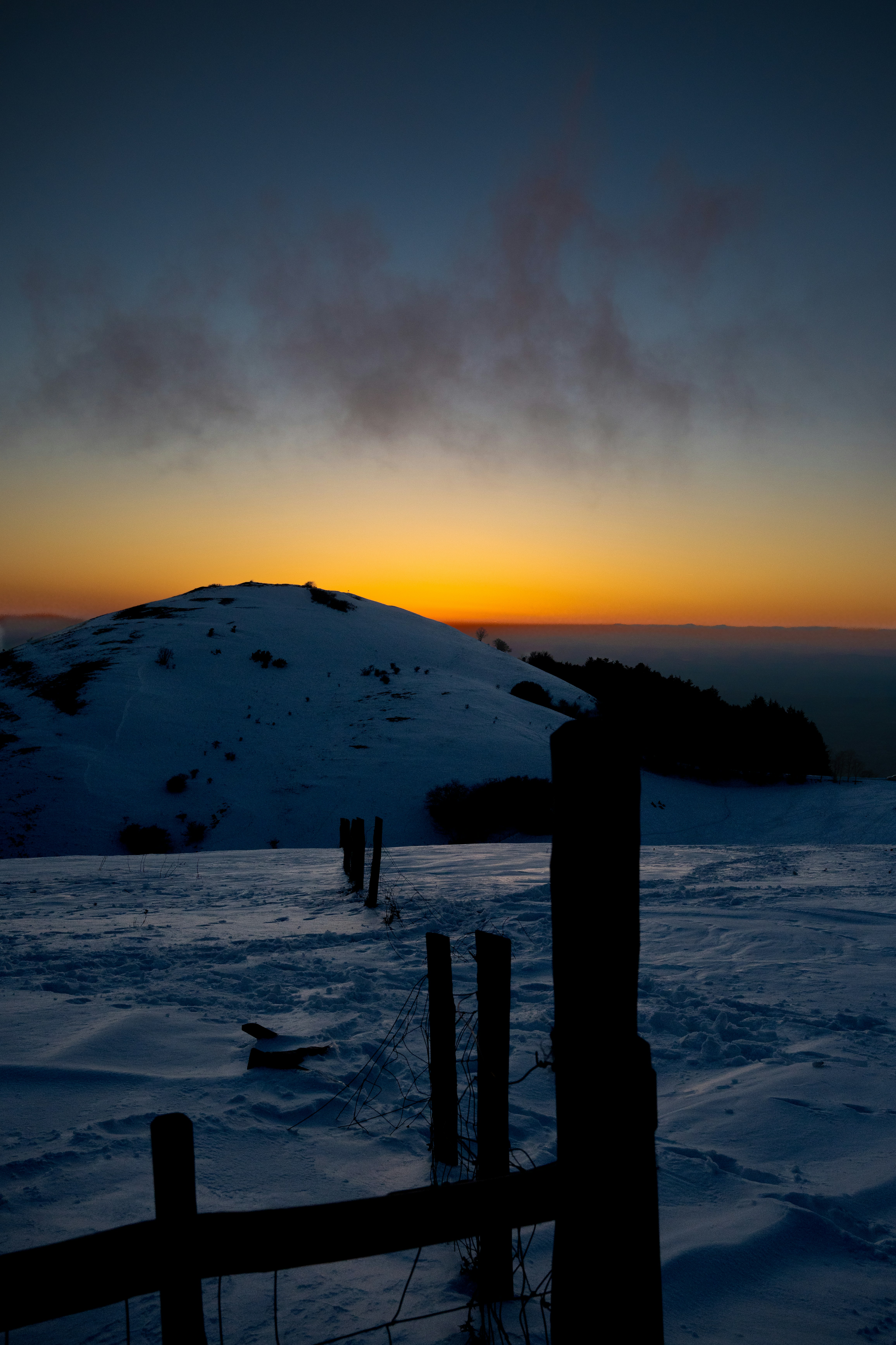 Photo by Three Stars Graphics with Sony Alpha 7 IV