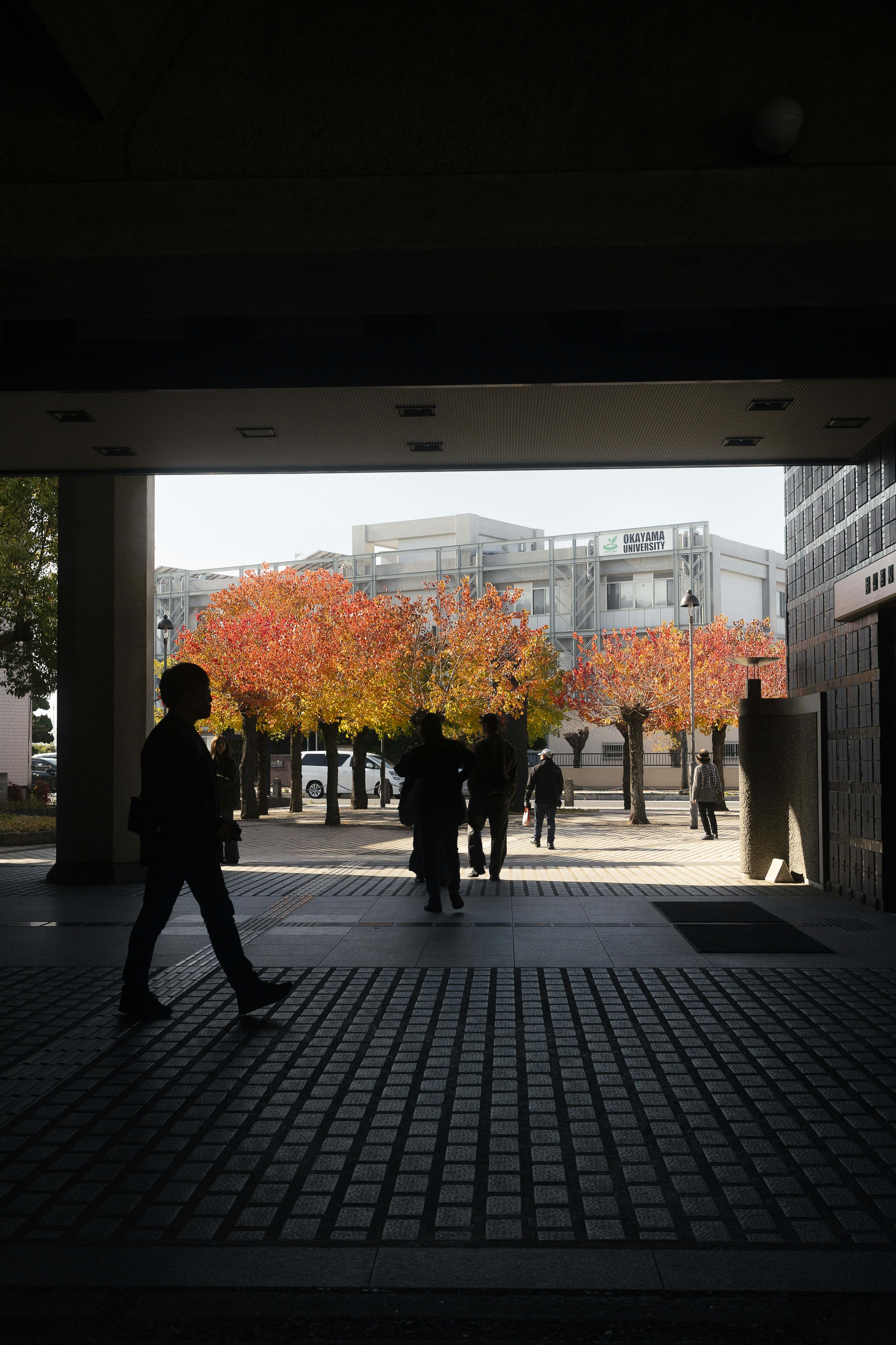 Photo by Gaku Suyama with Canon EOS R6