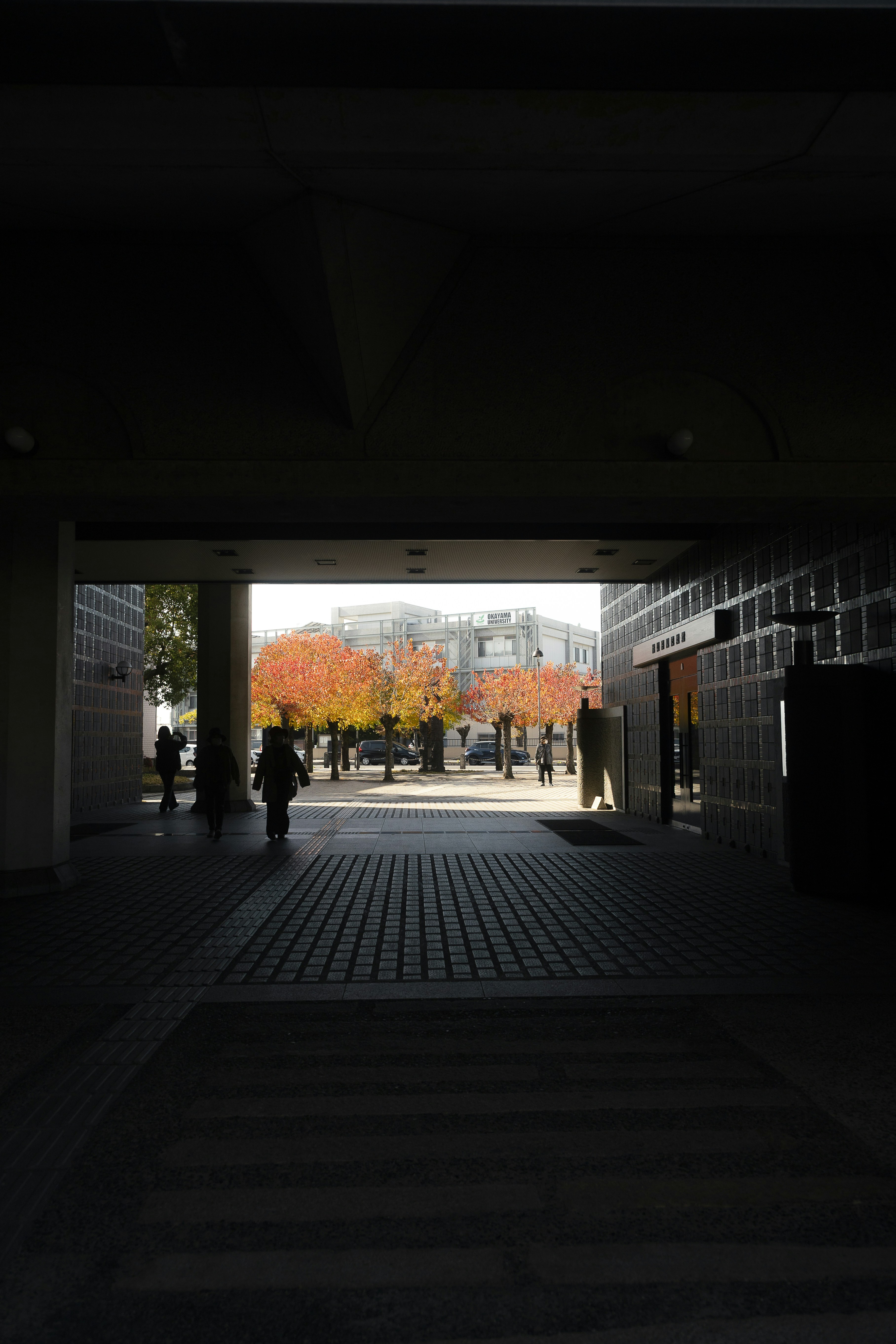 Light at the End: Students Exit a Dim Tunnel to Autumn Parade