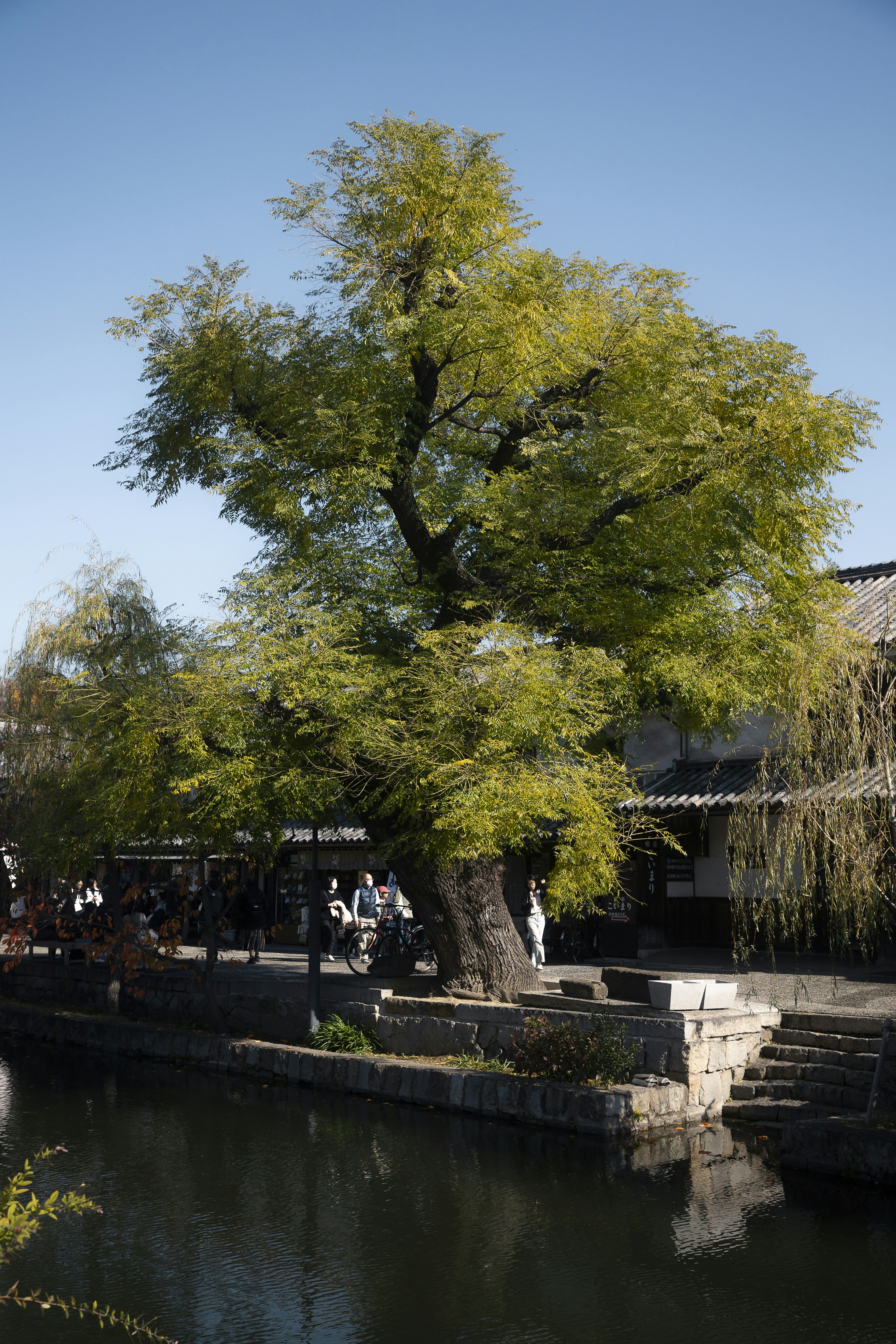 Photo by Gaku Suyama with Canon EOS R6