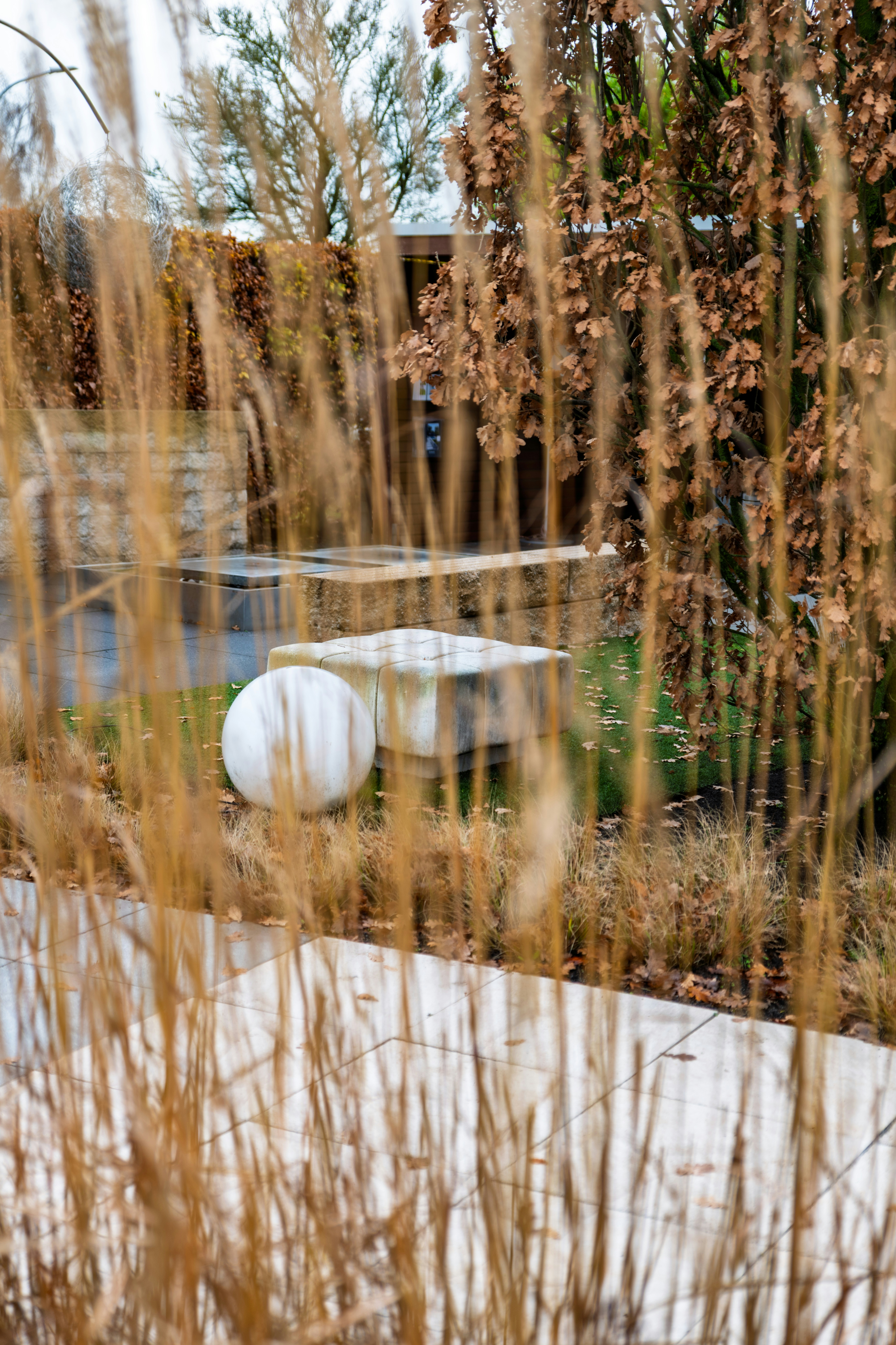 Autumnal Garden Veil: Weaving through dried grasses to a stone bench centerpiece