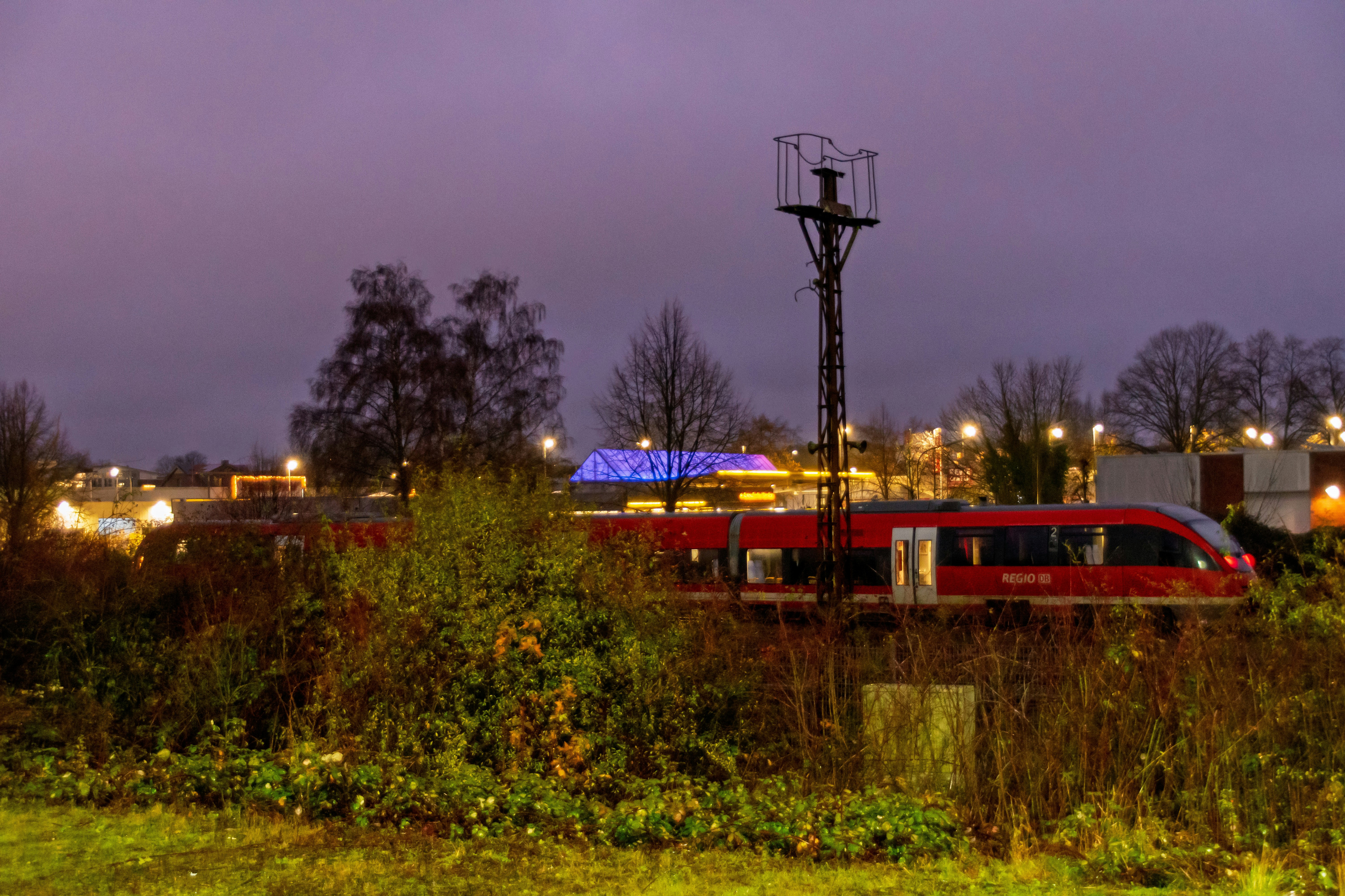 Evening Rail: A Quiet Passenger at the Edge of the Suburban Yard