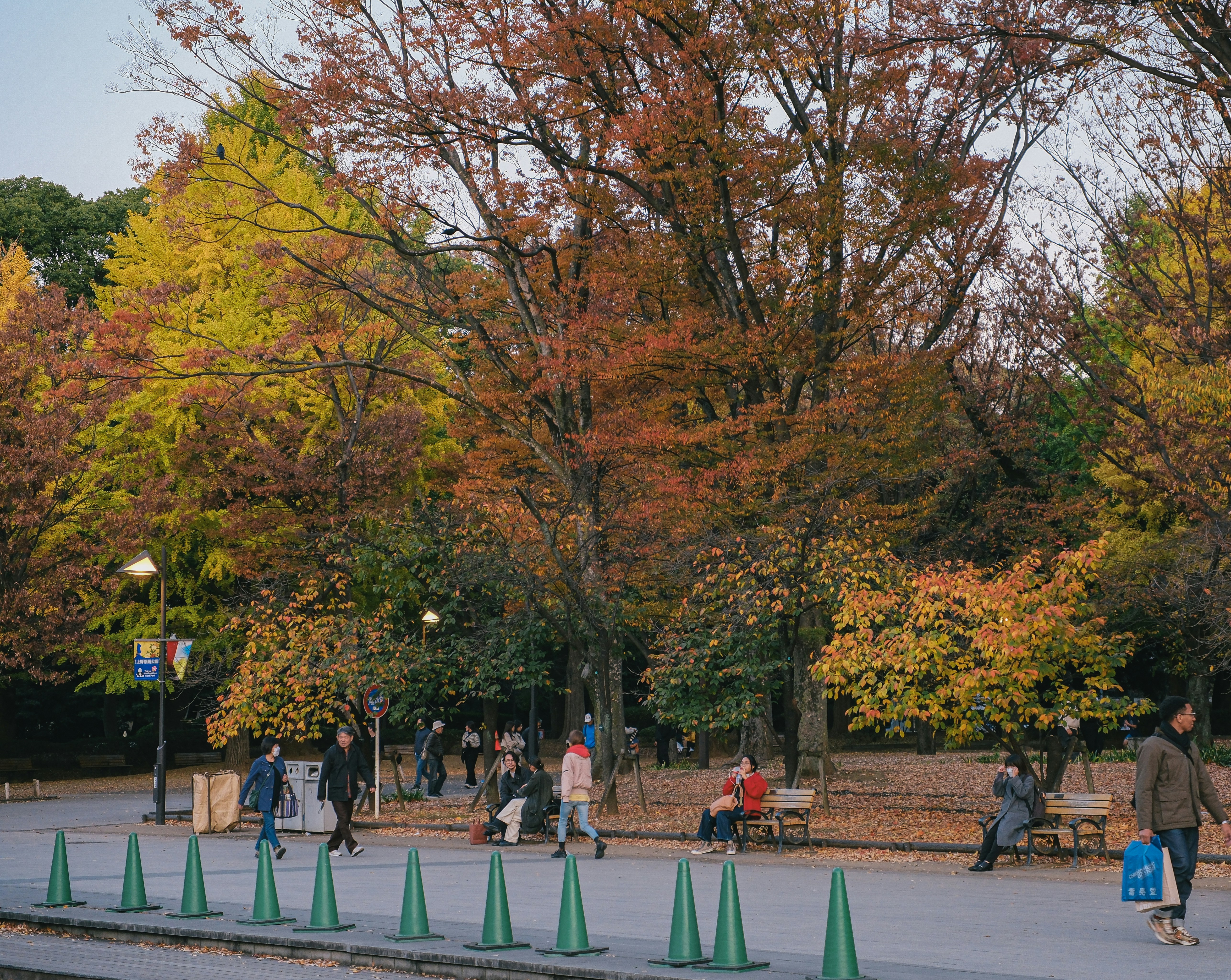 Autumn stroll in the city park as leaves blaze with color