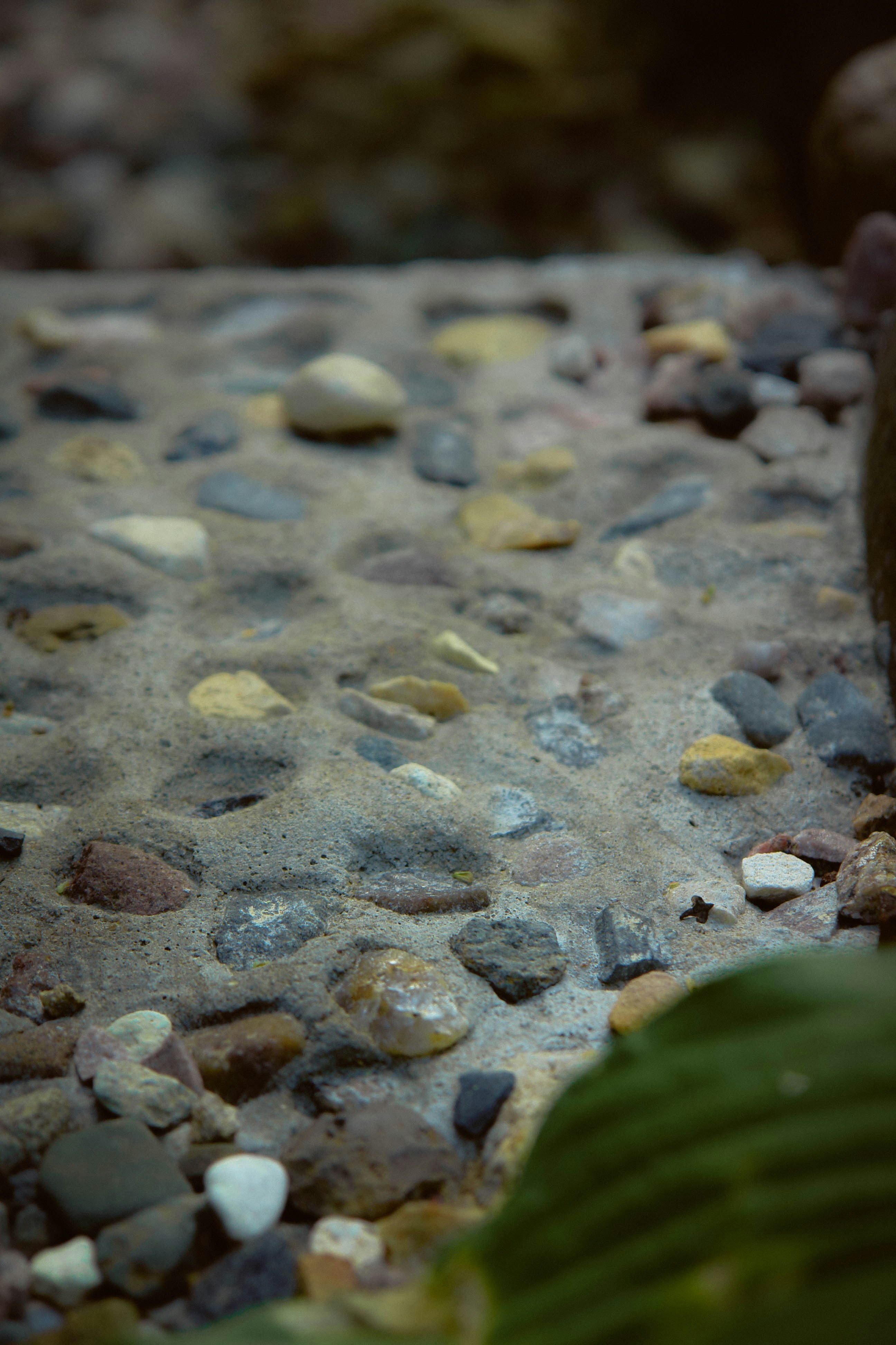 Photo by Anna Gelibterman with Sony DSC-R1