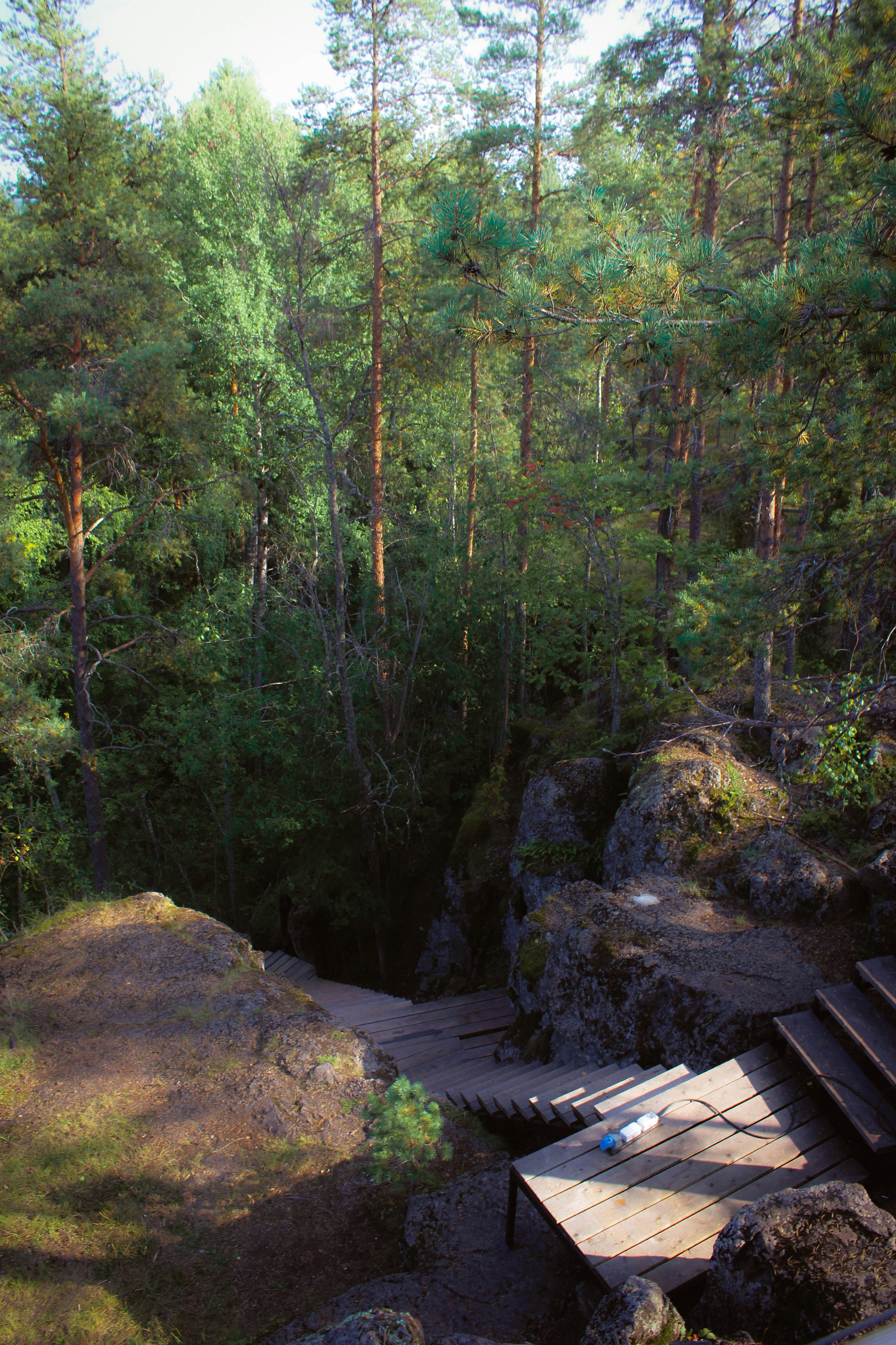 Forest Stairway to Quiet Depths