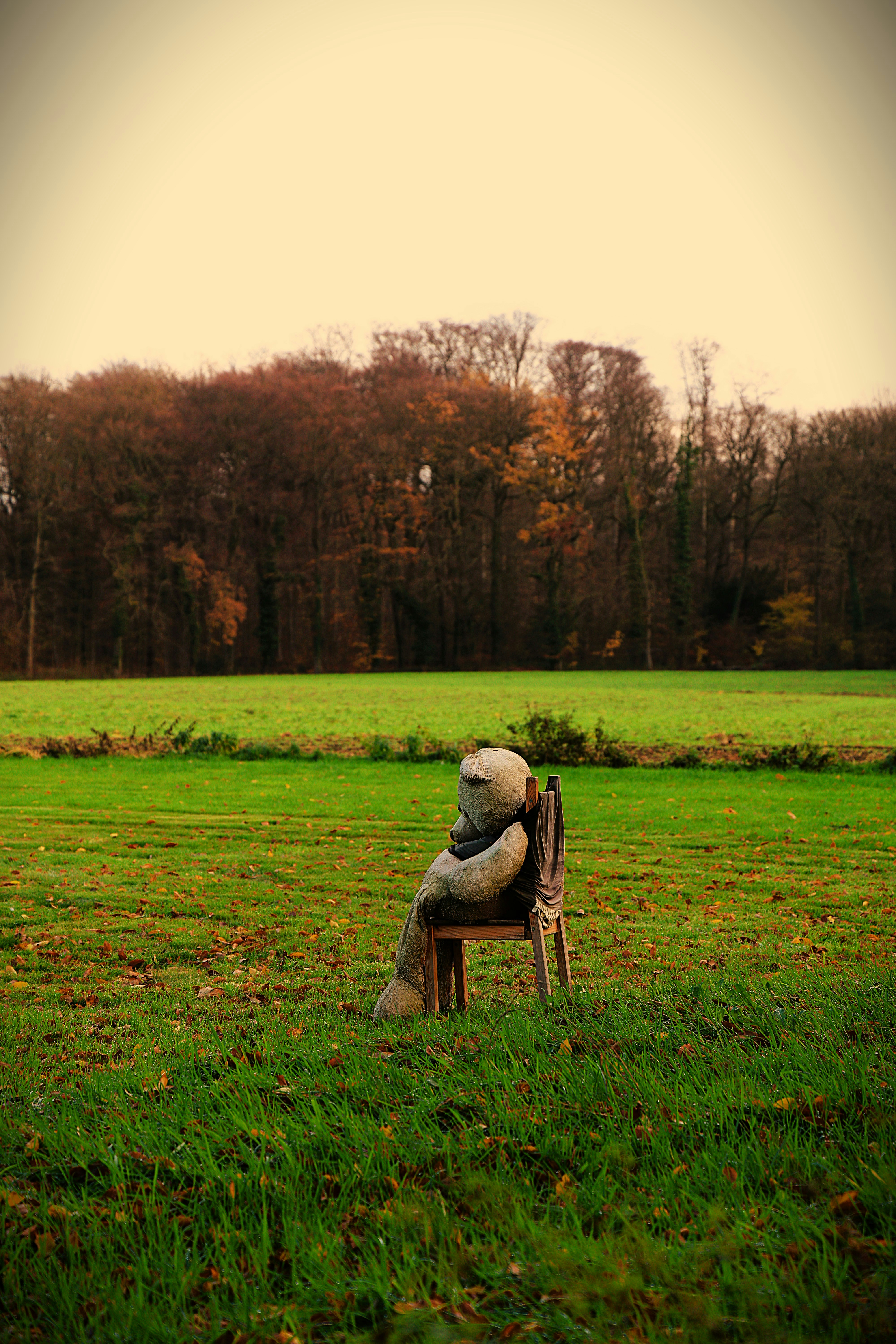 Lonely Bear Statue at Distant Field