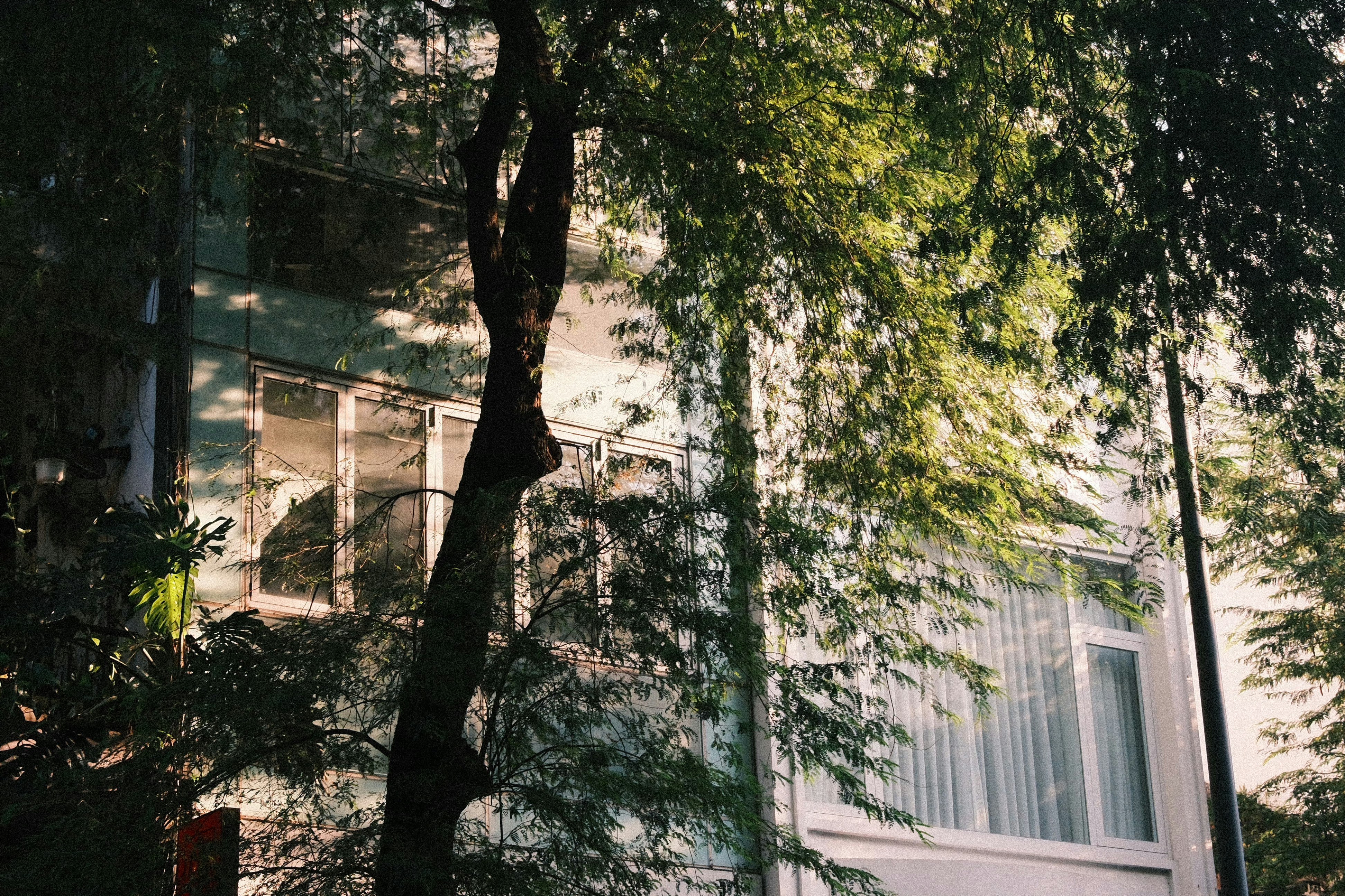 Photo by Nguyen Minh with Fujifilm X100VI