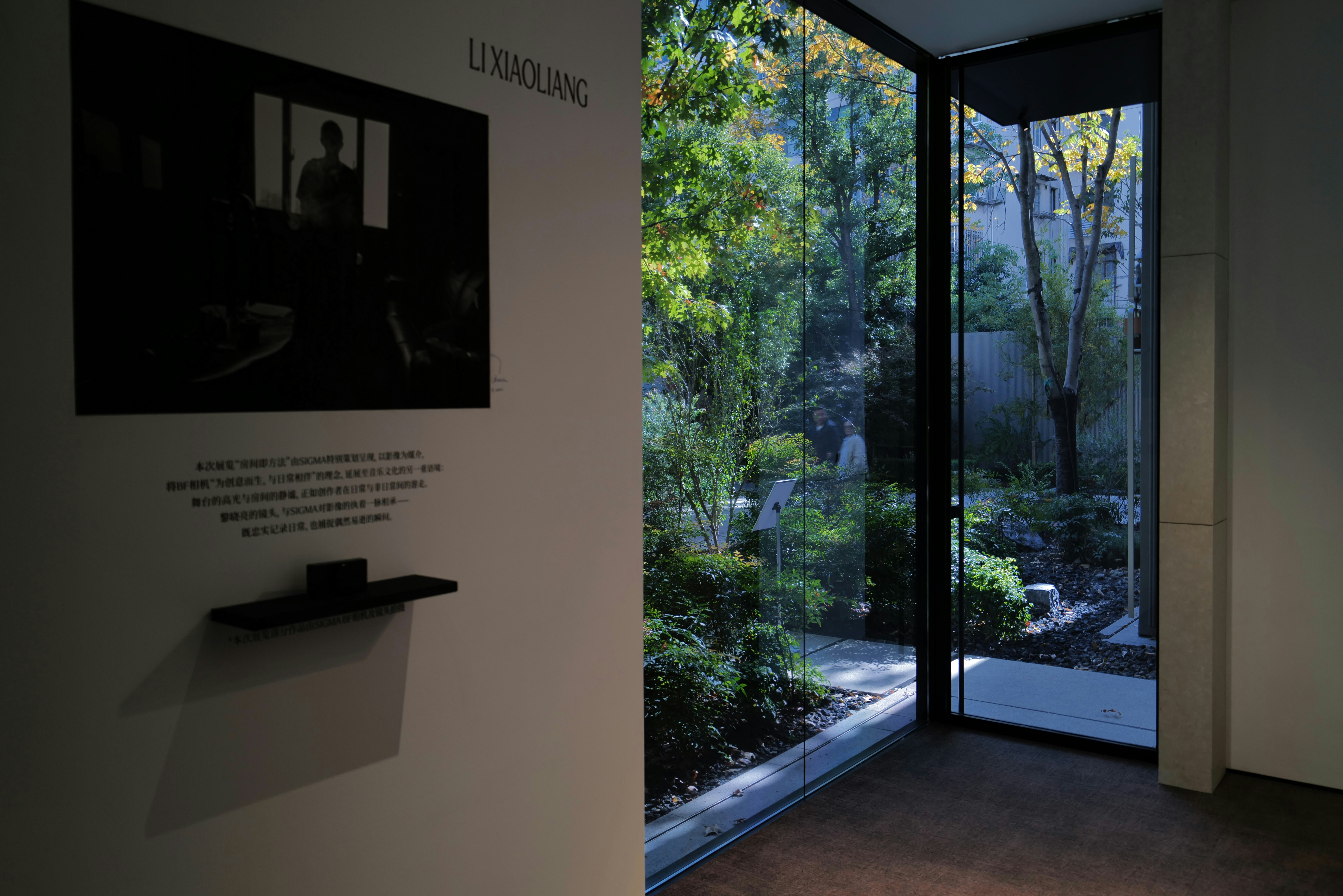 Quiet Gallery Vista: Light Shapes Through a Glass Door