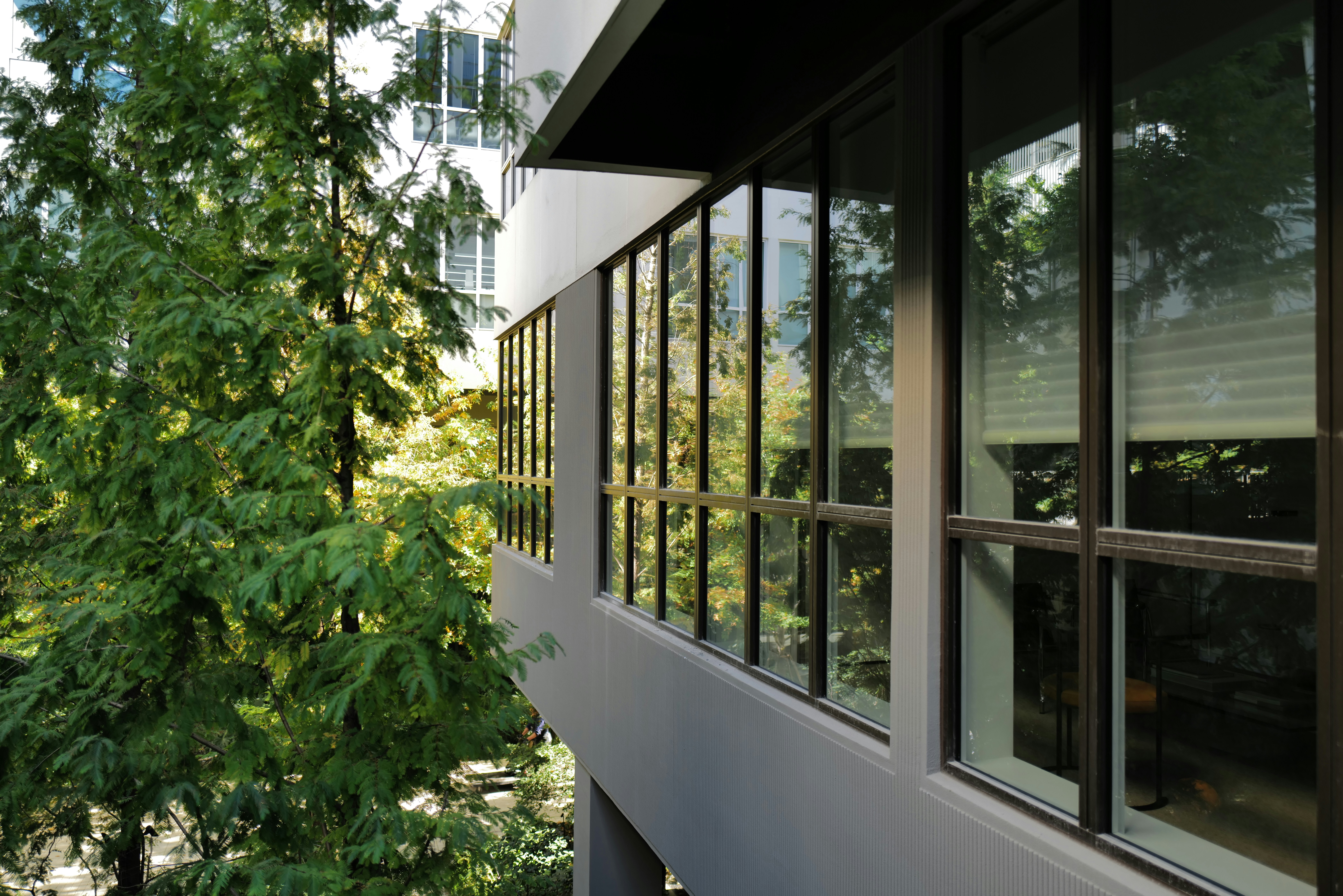 Photo by Joe Yu with Leica Q2