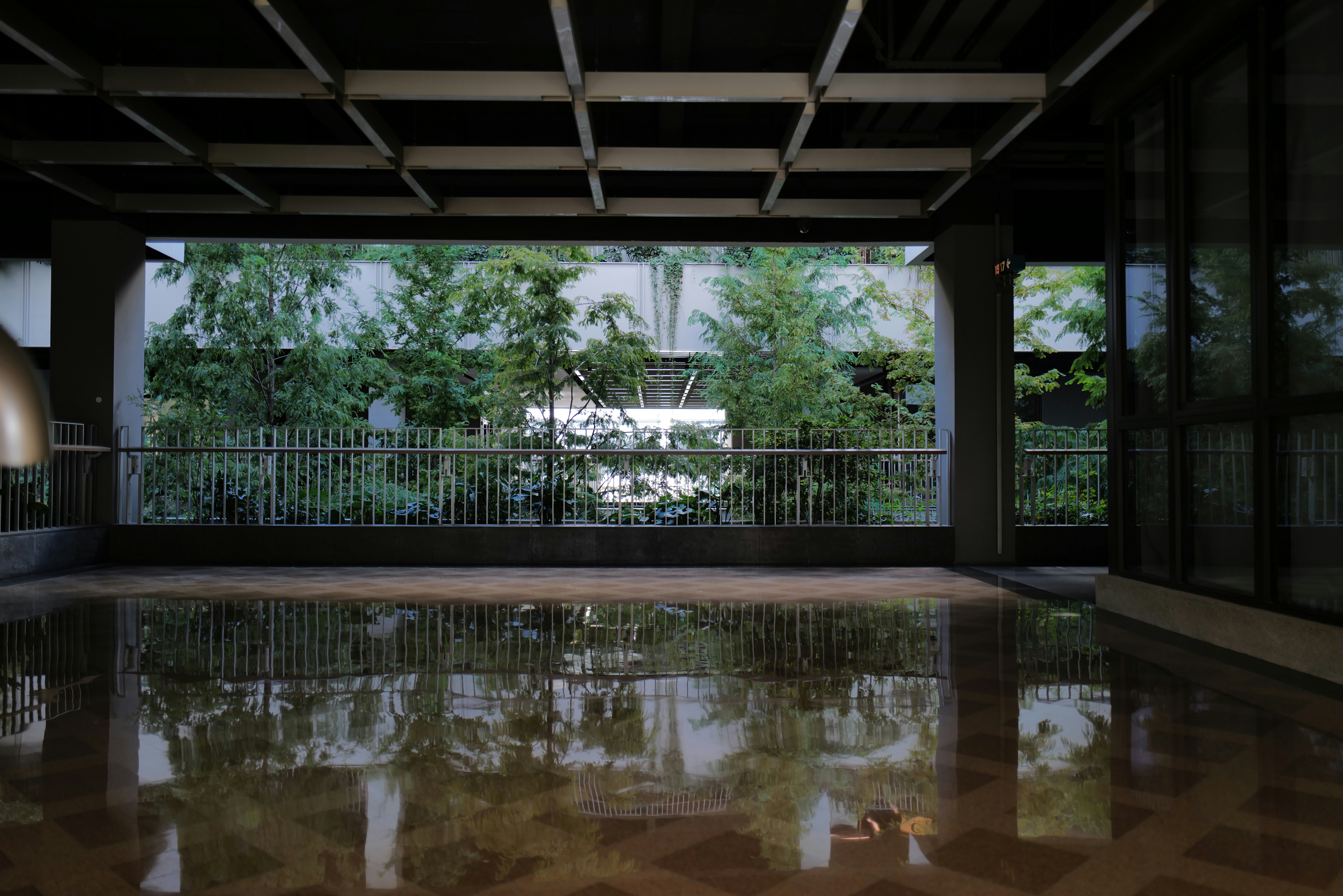 Reflections Under an Atrium Canopy
