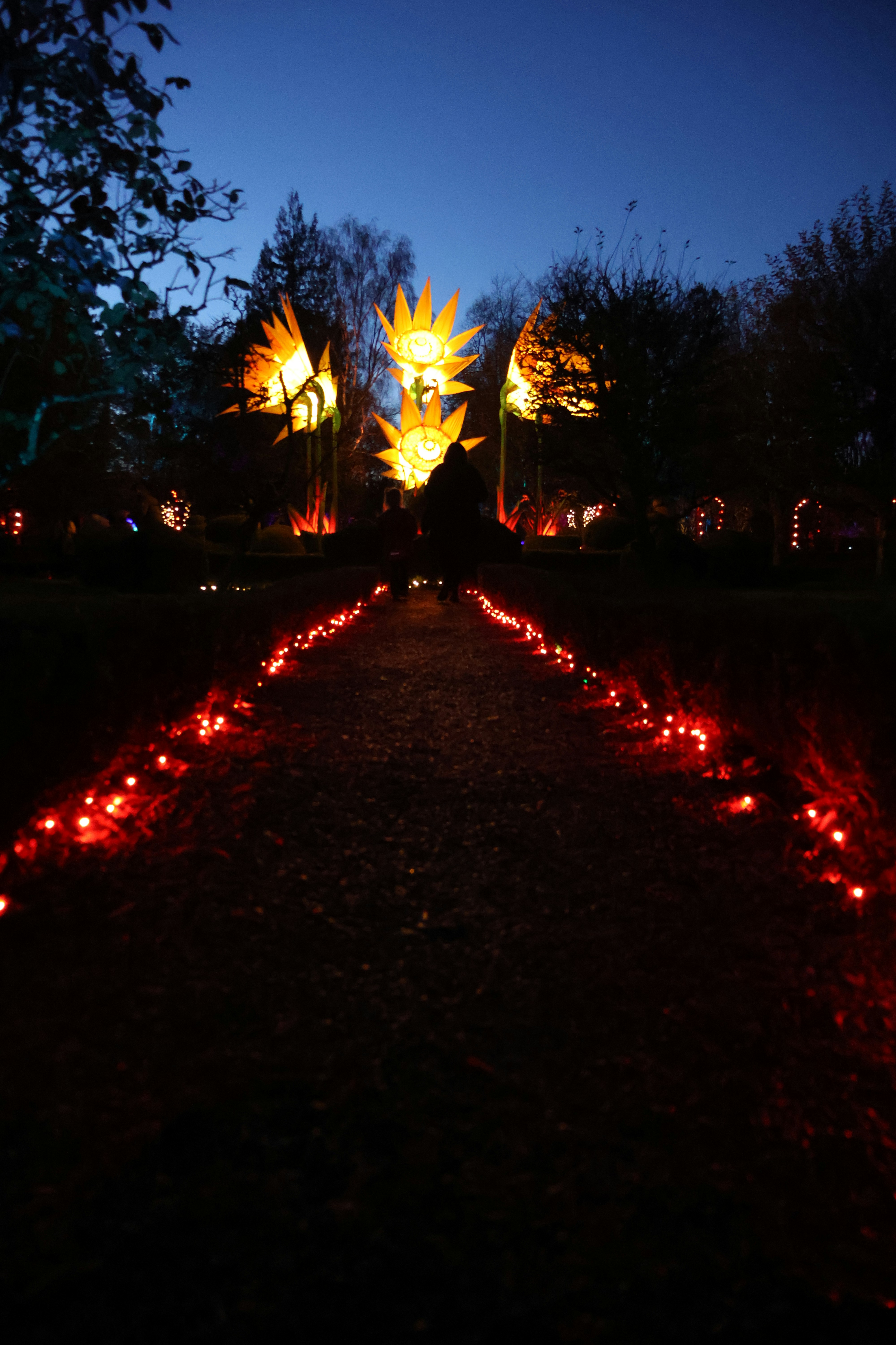 Glowing sun sculptures light up a park at night.
