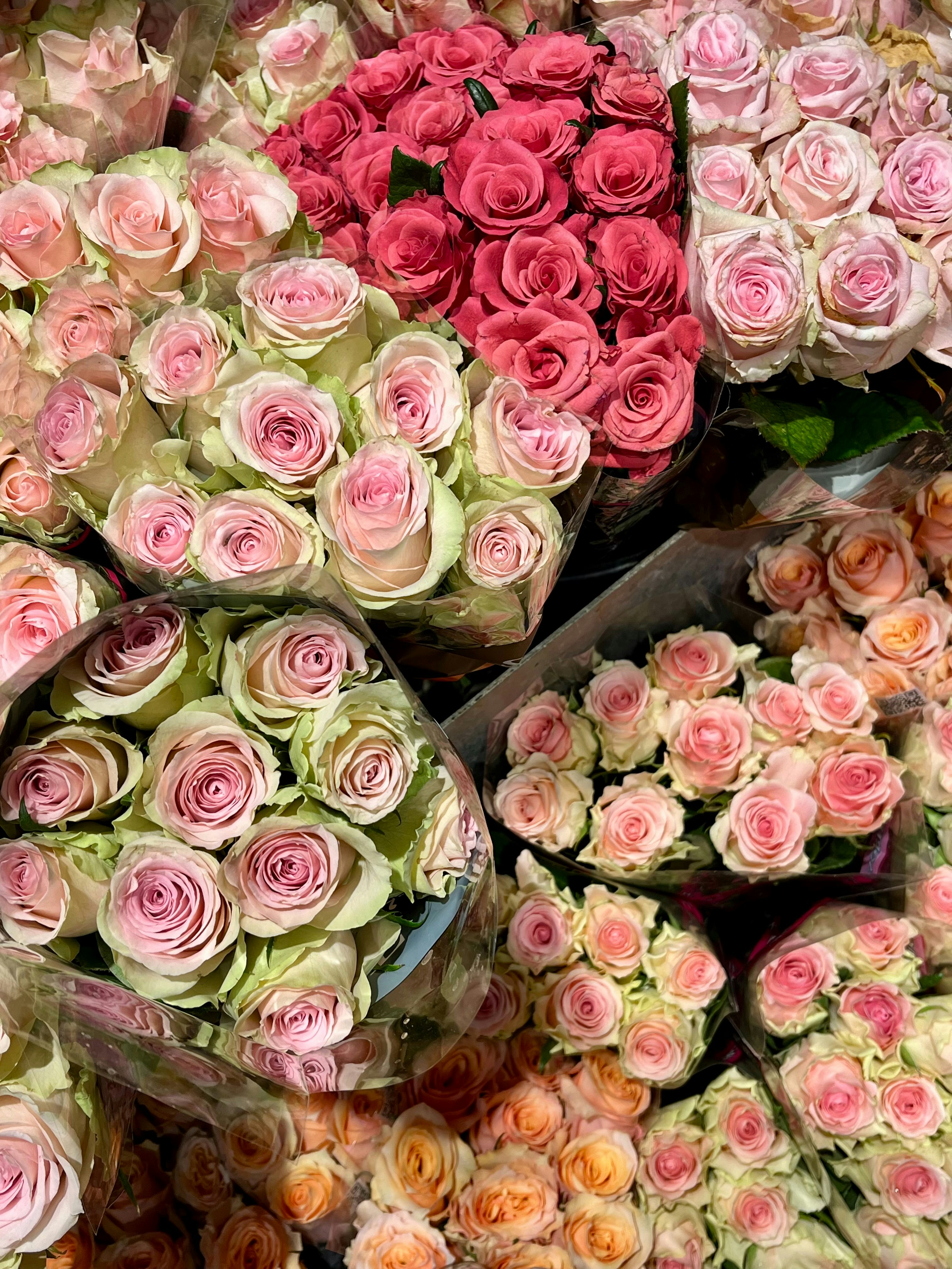 Bouquets of Rosy Hues: A Burst of Pink in a Floral Grid