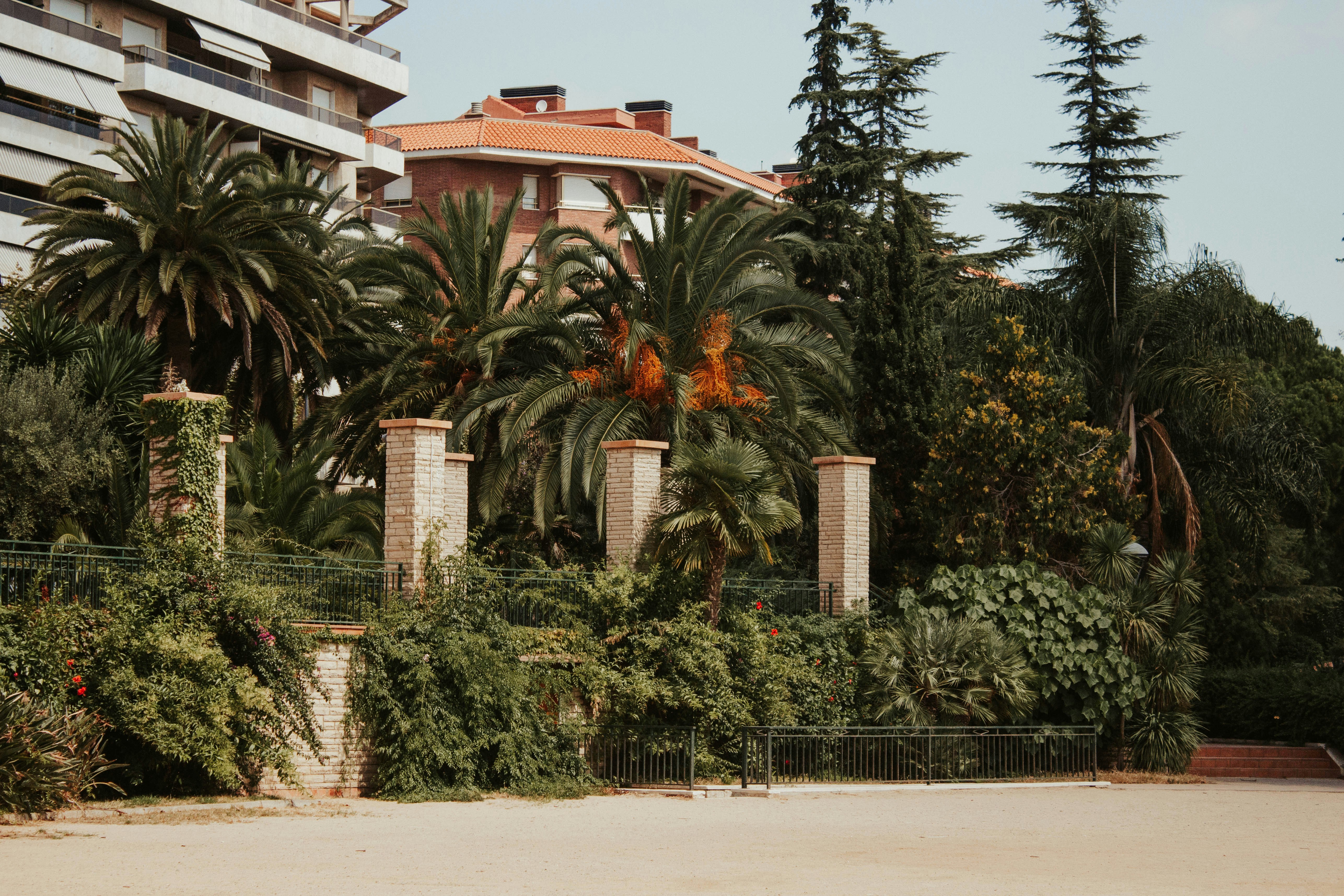 Photo by Noa van Ieperen with Canon EOS 1200D