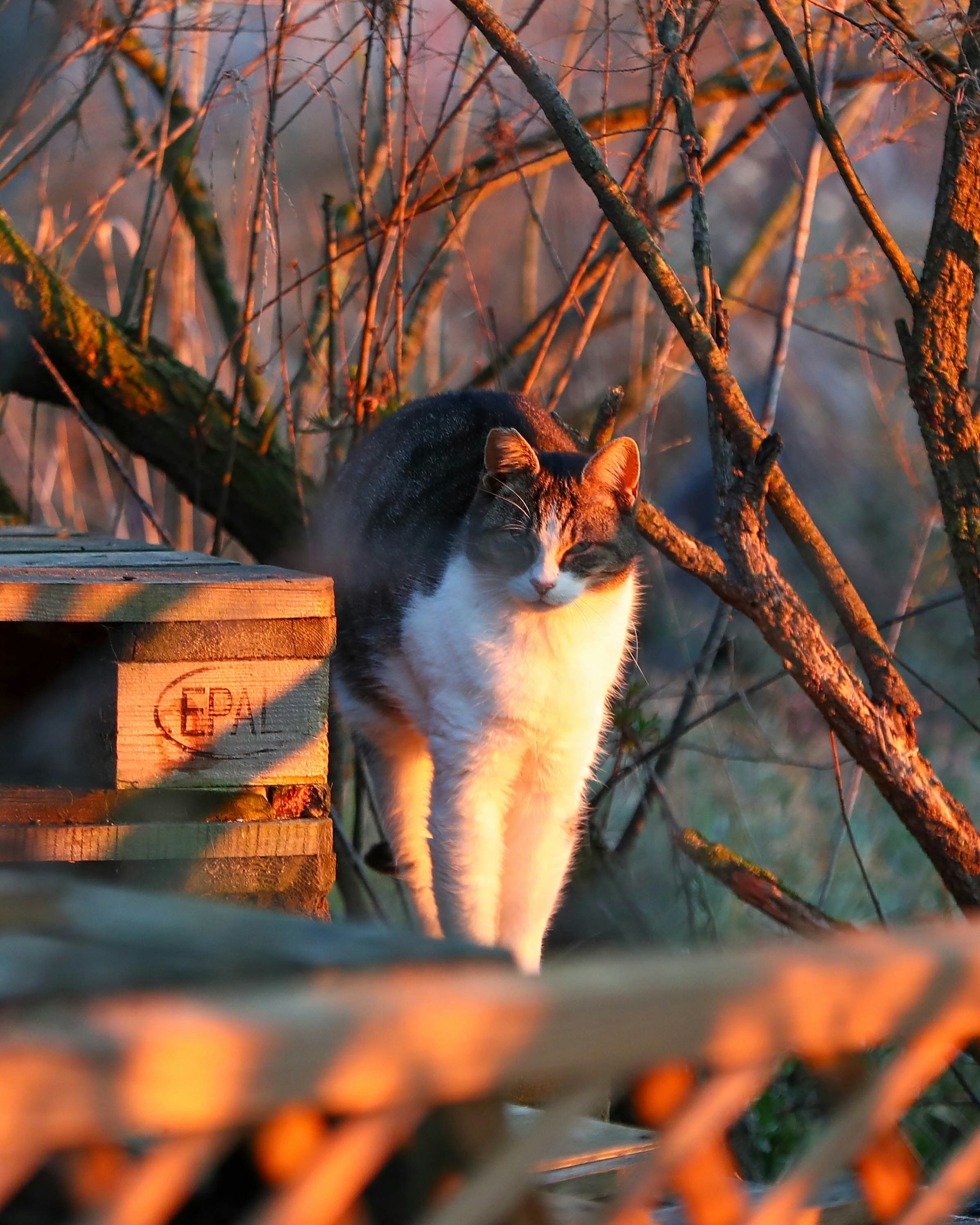 Photo by Deivid Qosja with Canon EOS-1D X Mark II