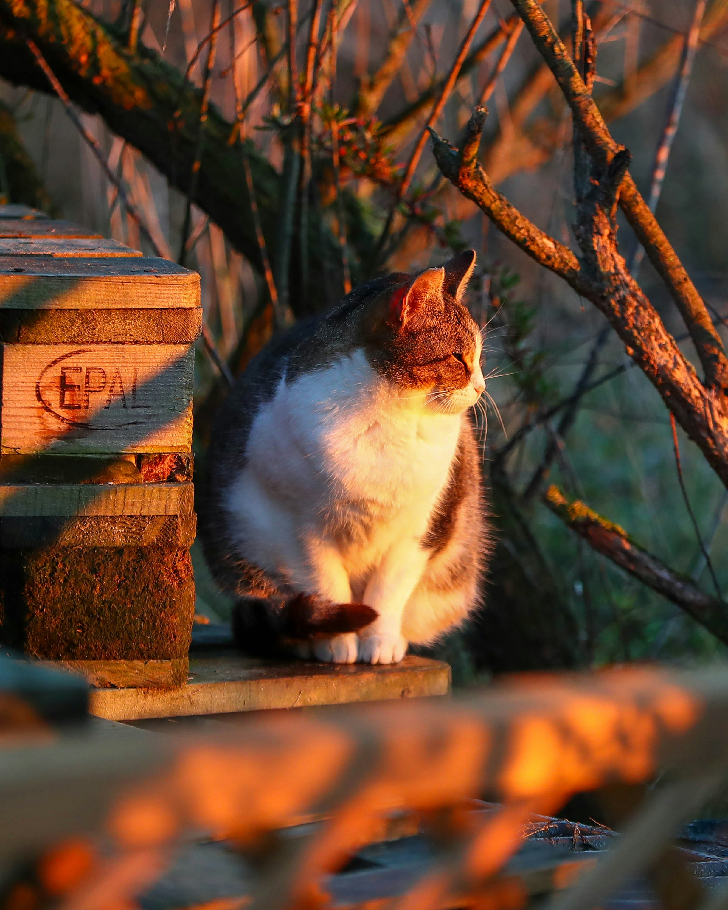 Photo by Deivid Qosja with Canon EOS-1D X Mark II