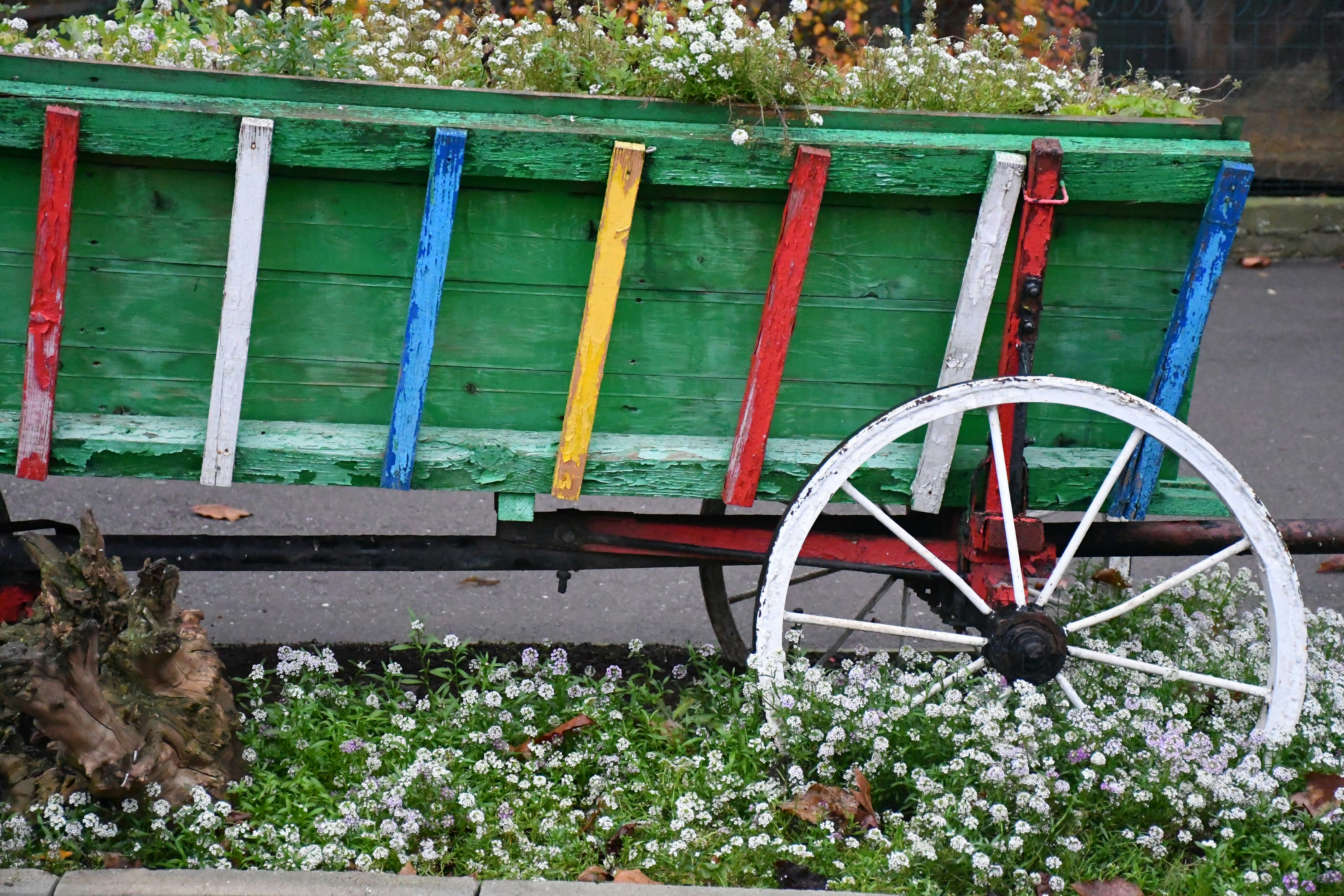 Photo by Scar Tissue with Nikon D7500