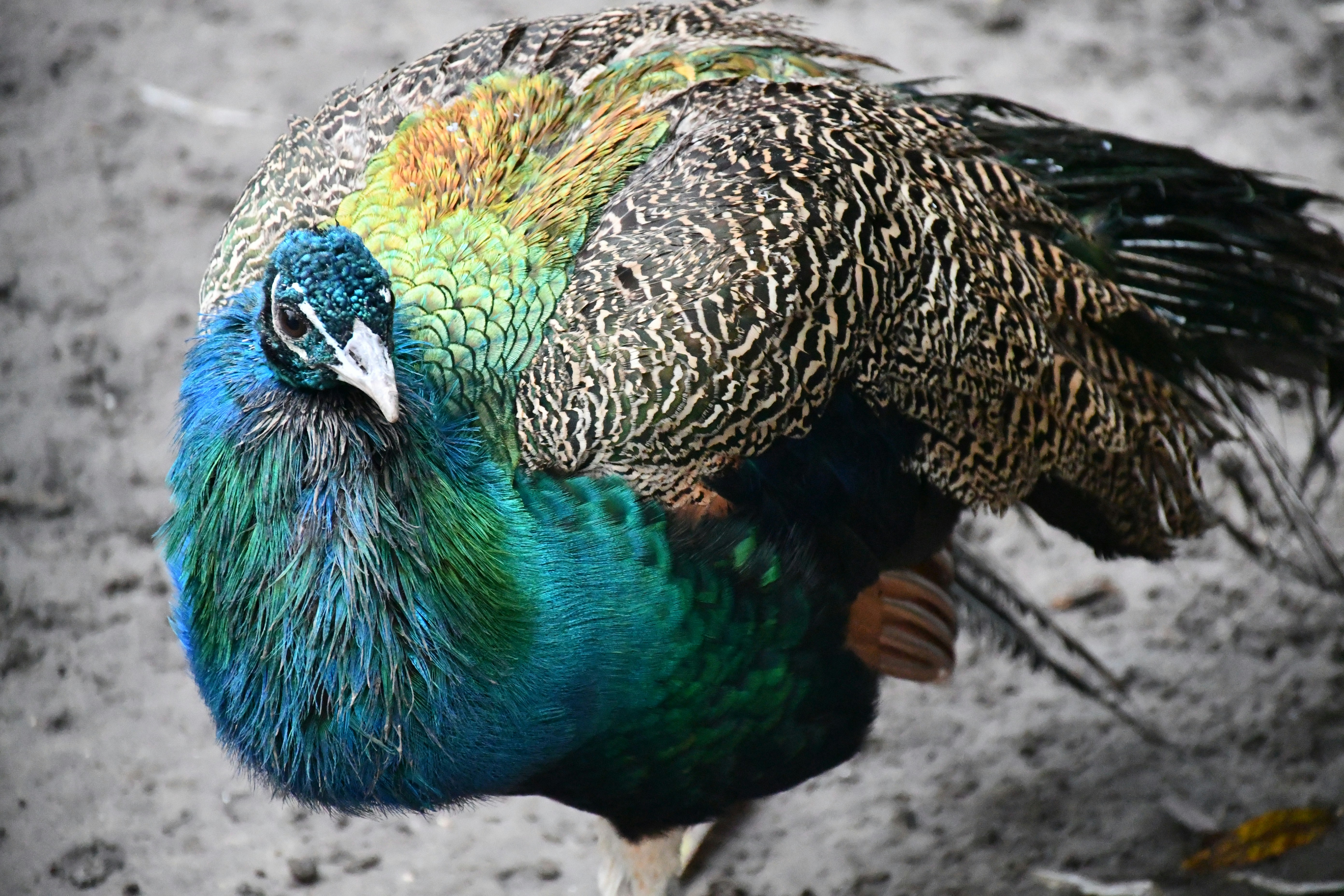 Photo by Anna Kharkivska with Nikon D7500