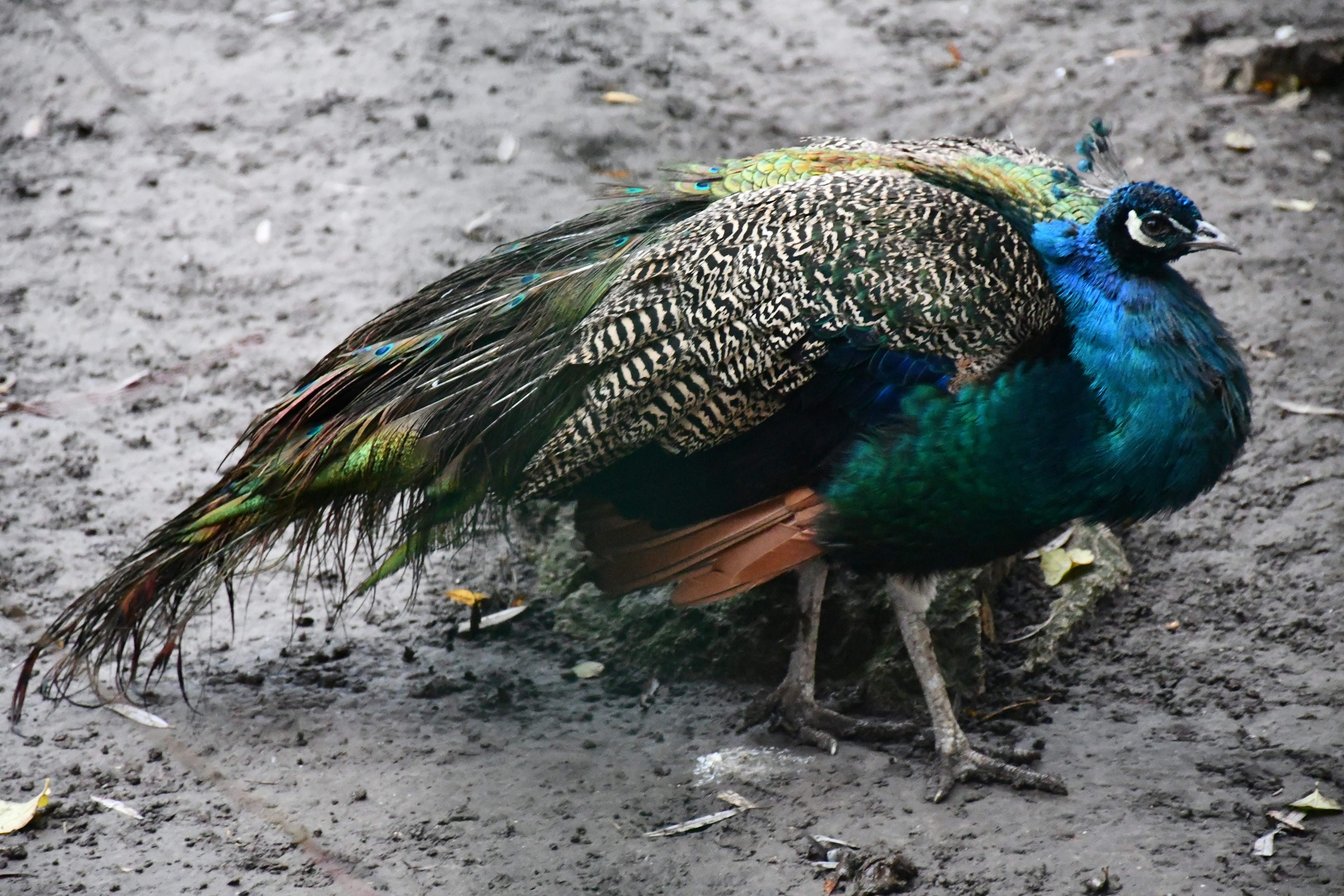 Photo by Anna Kharkivska with Nikon D7500