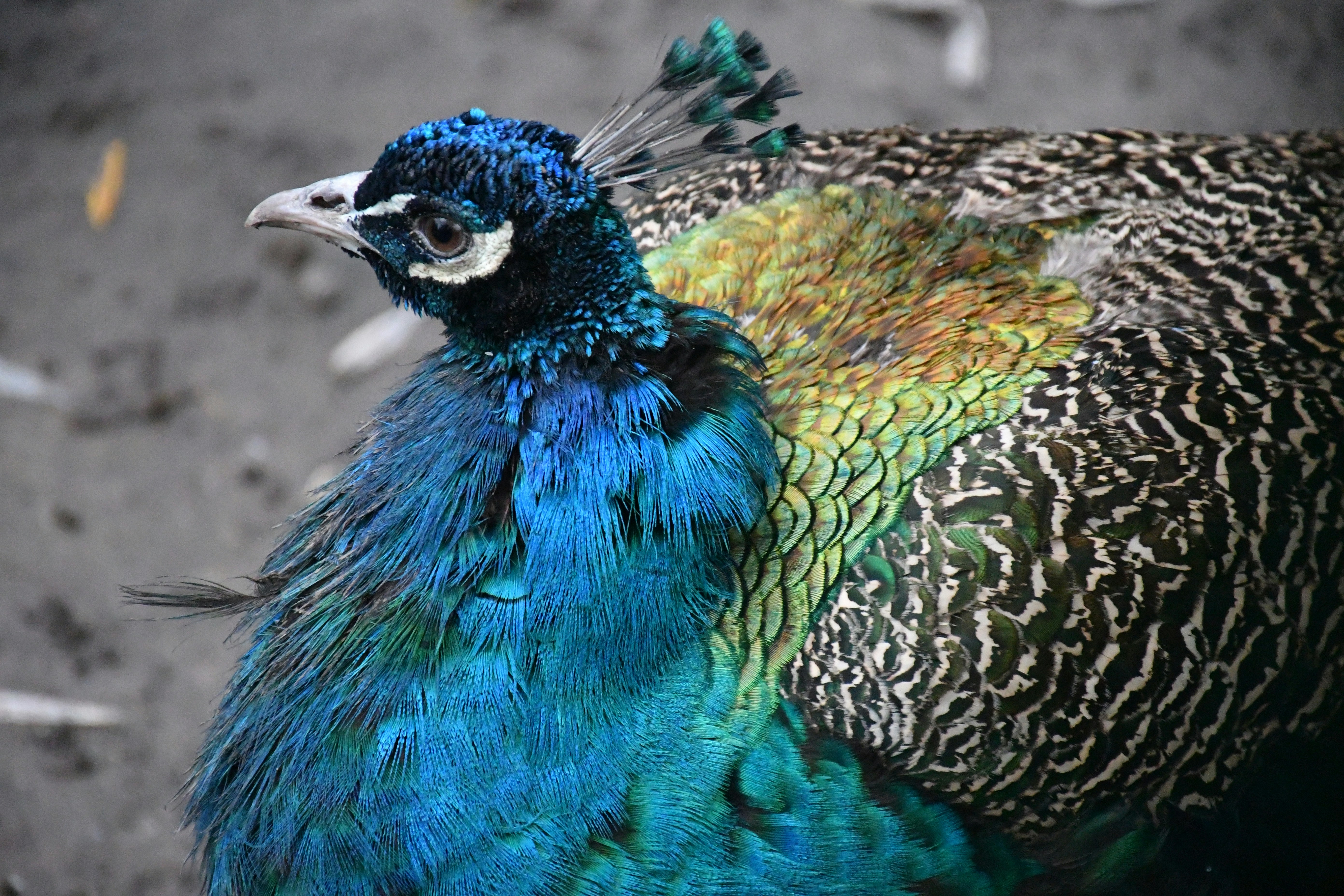 Photo by Anna Kharkivska with Nikon D7500