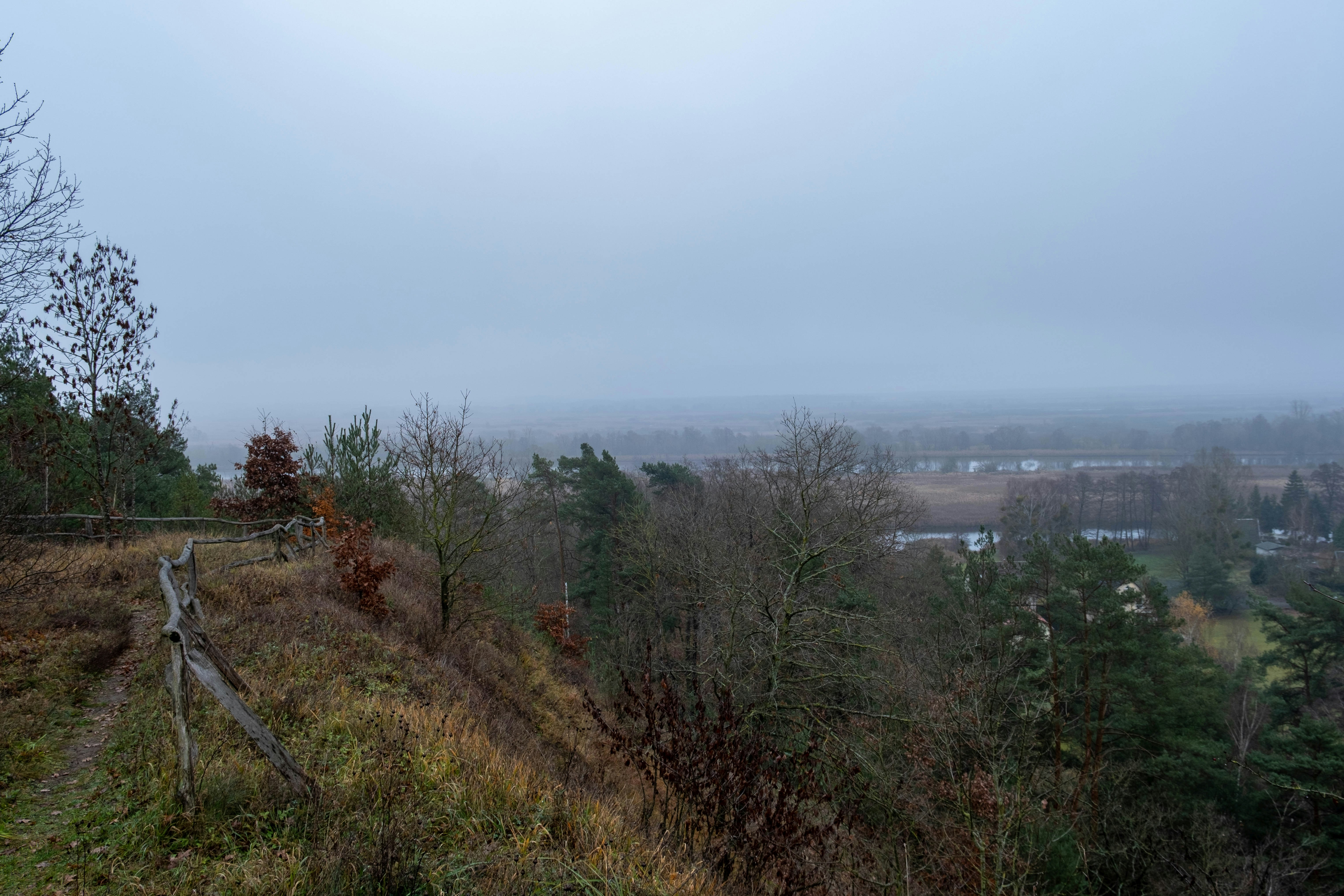 Distant Valley Fringed by Autumn Pines