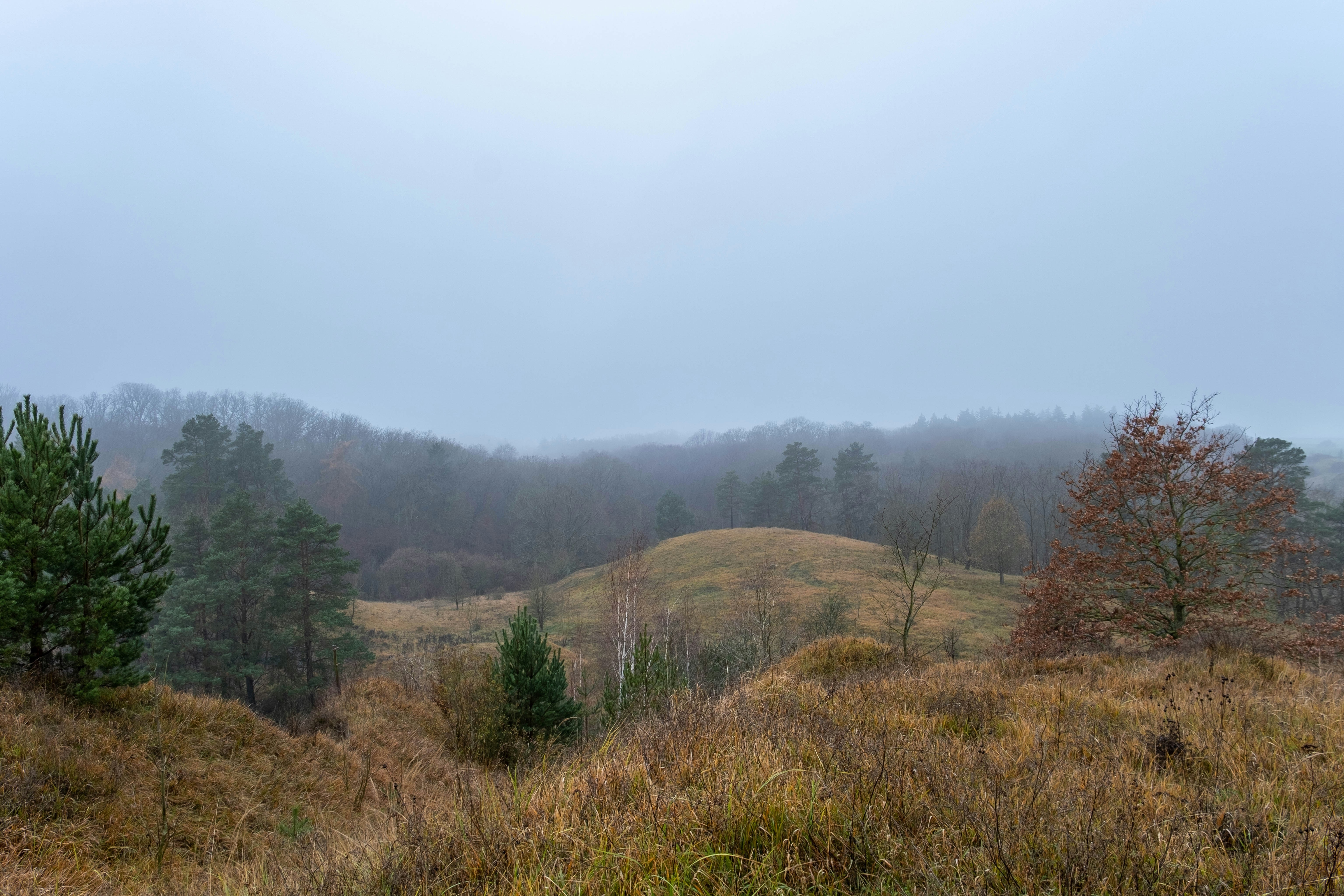 Mist over the Moor: Quiet Hills in Autumn