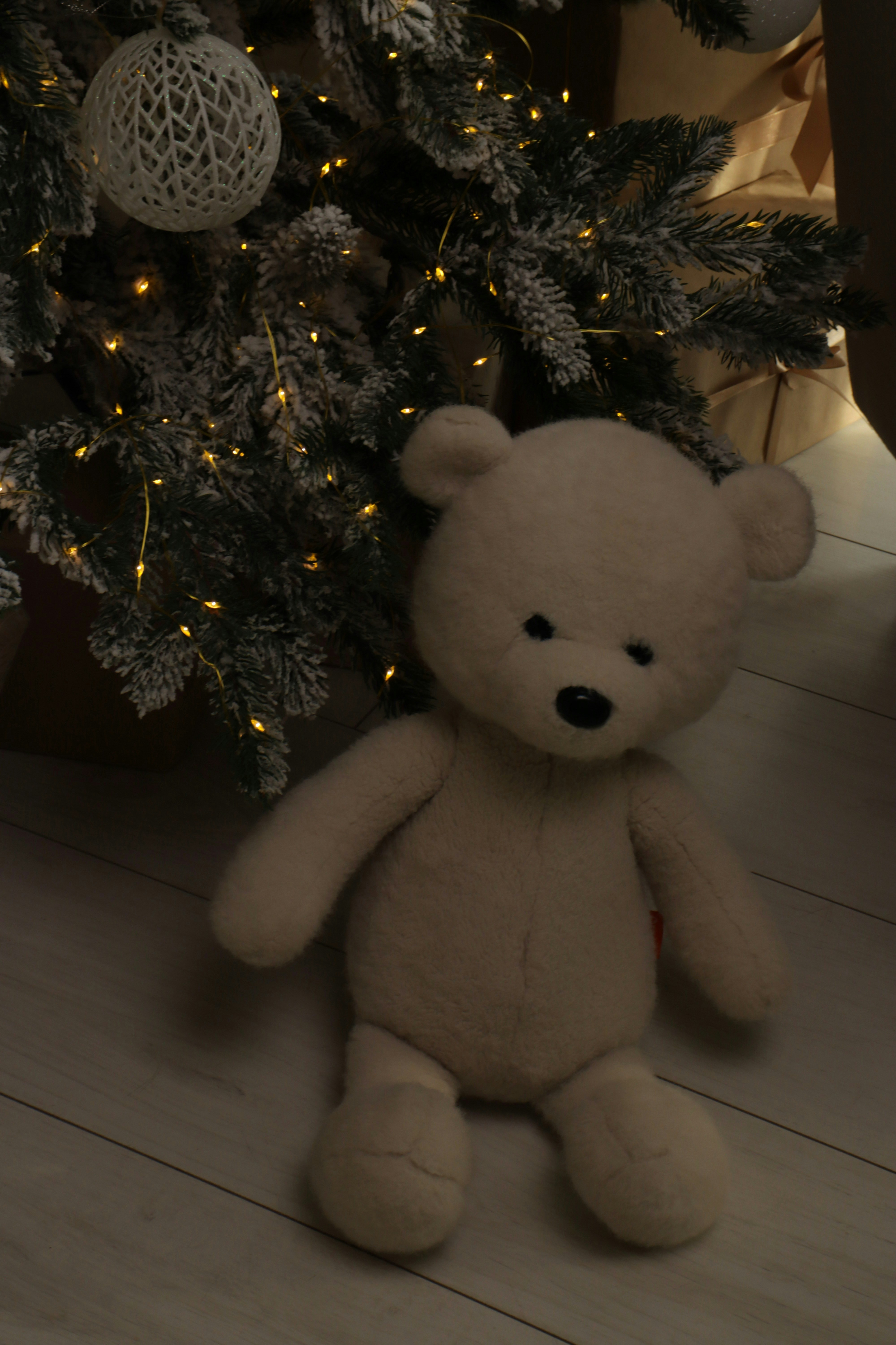 Photo by R. G with Canon EOS 250D