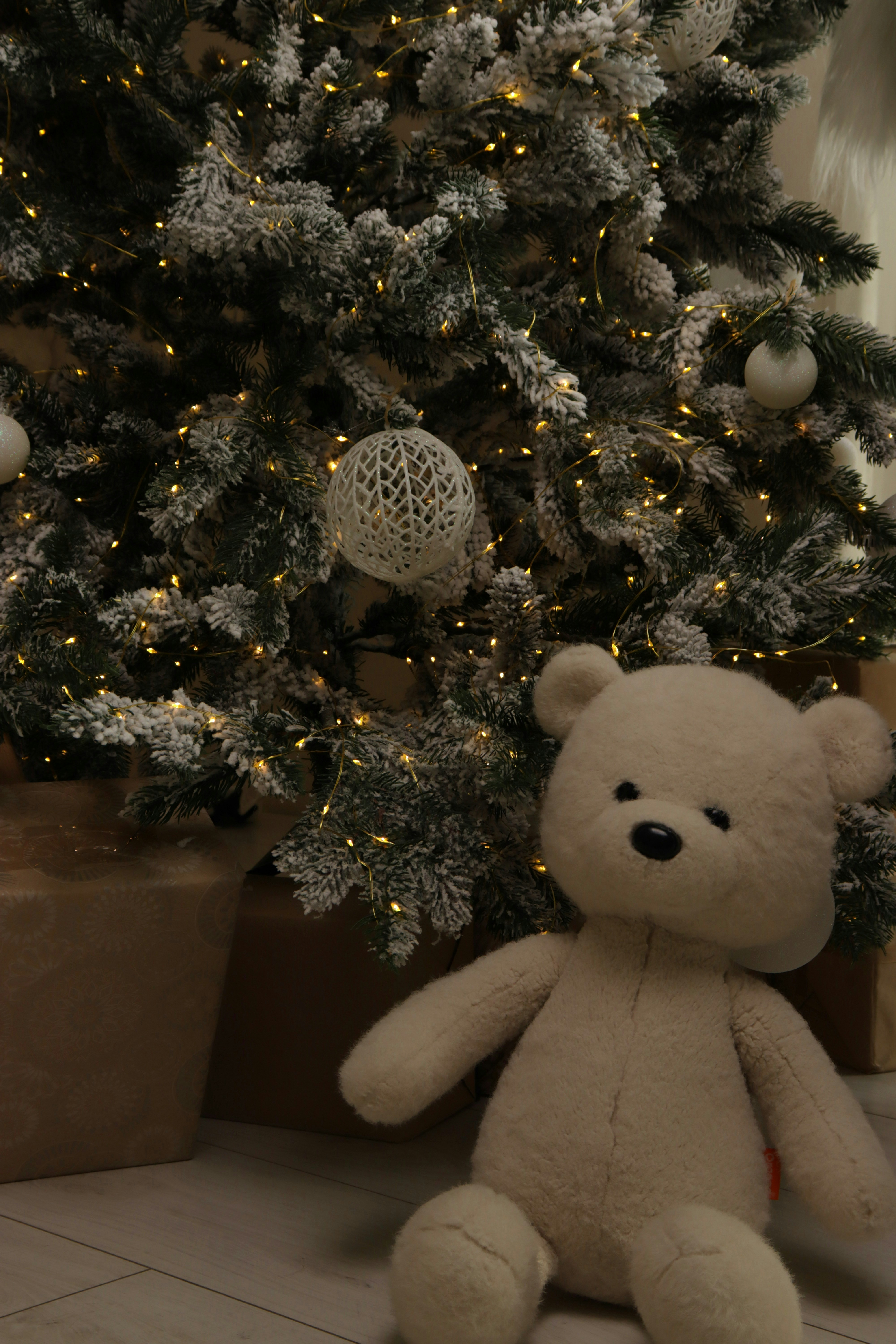 Photo by R. G with Canon EOS 250D