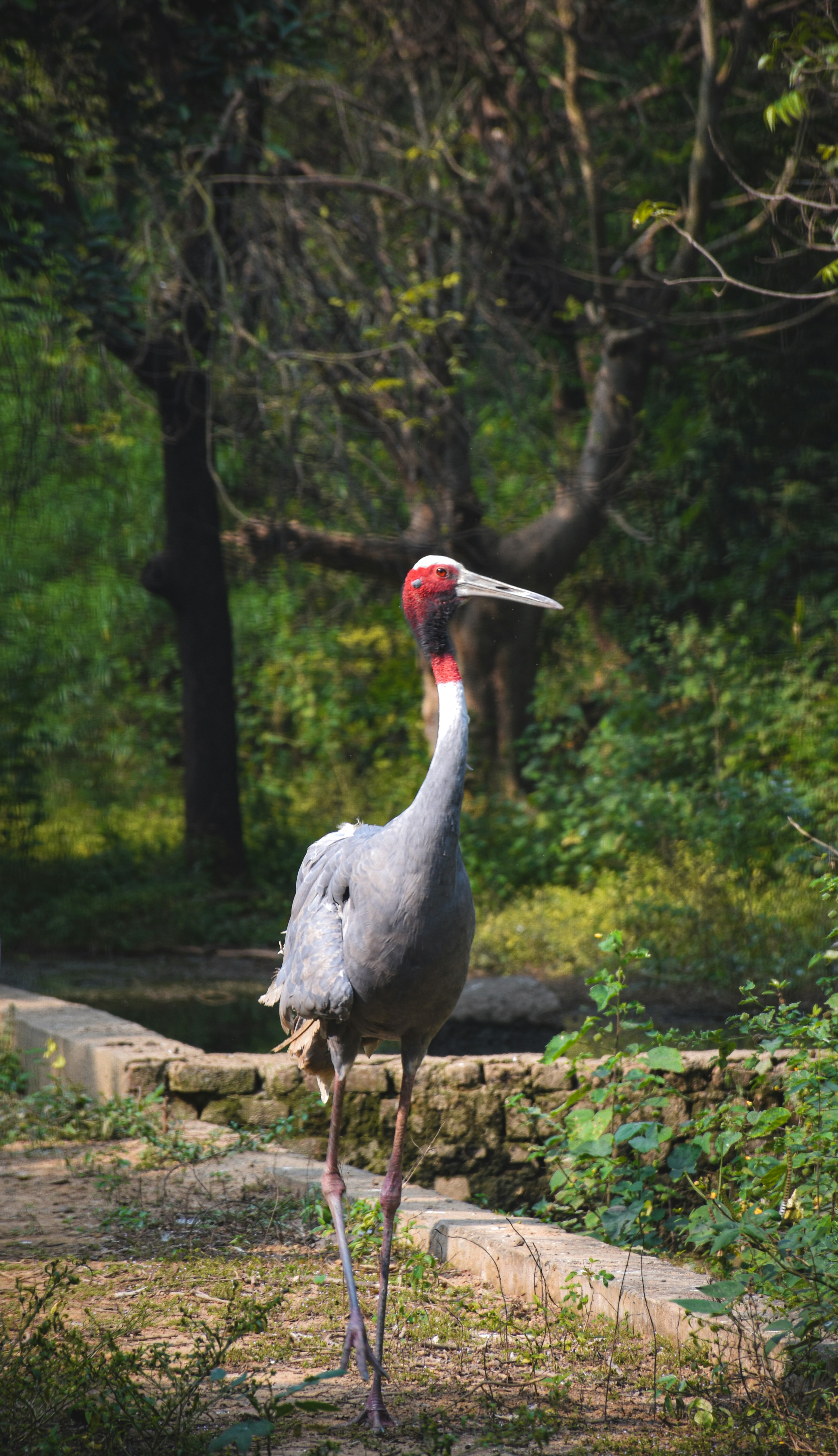 Photo by Ranjana Rajput with Nikon D5600