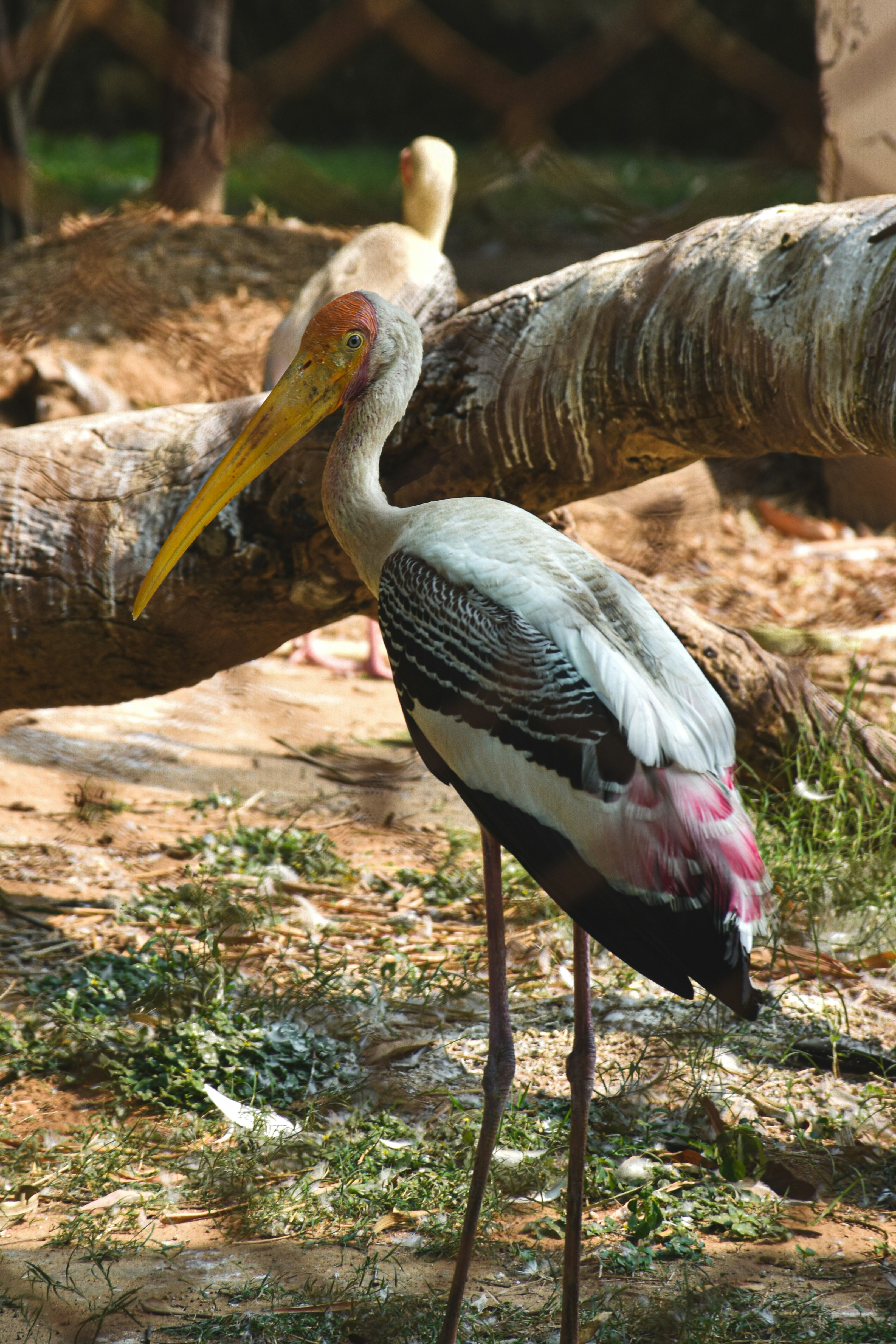 Photo by Ranjana Rajput with Nikon D5600