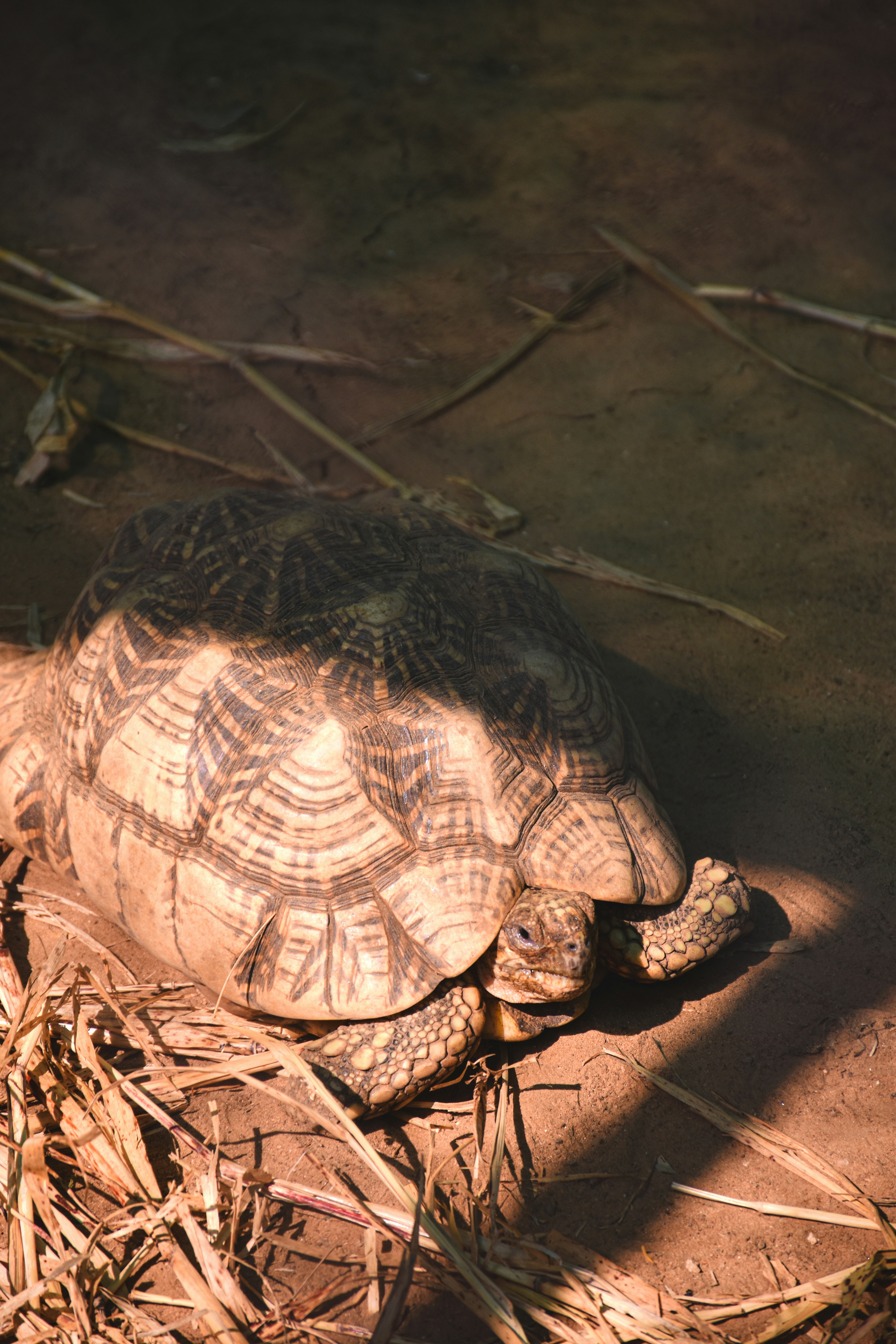 Photo by Ranjana Rajput with Nikon D5600