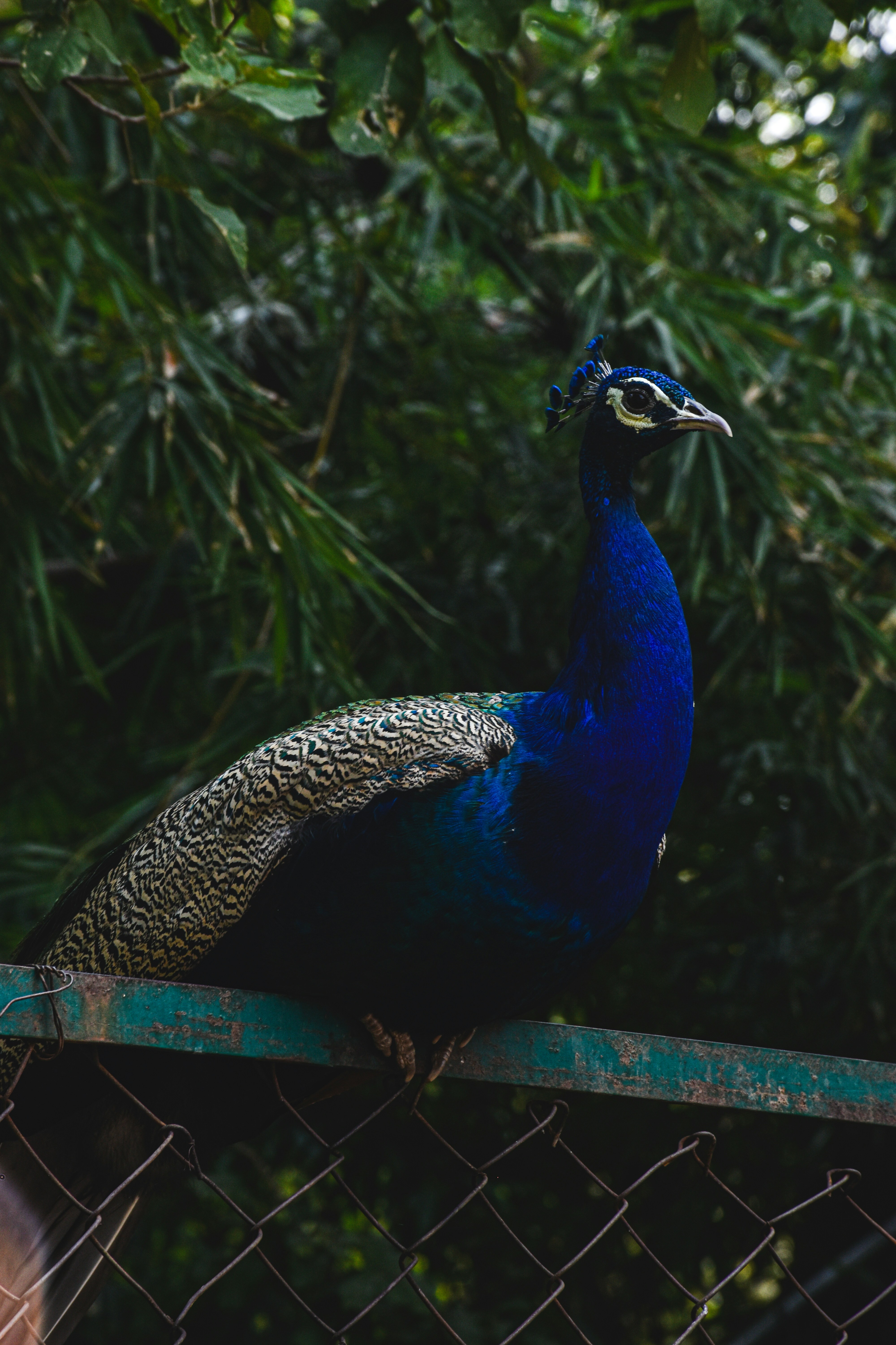 Photo by Ranjana Rajput with Nikon D5600