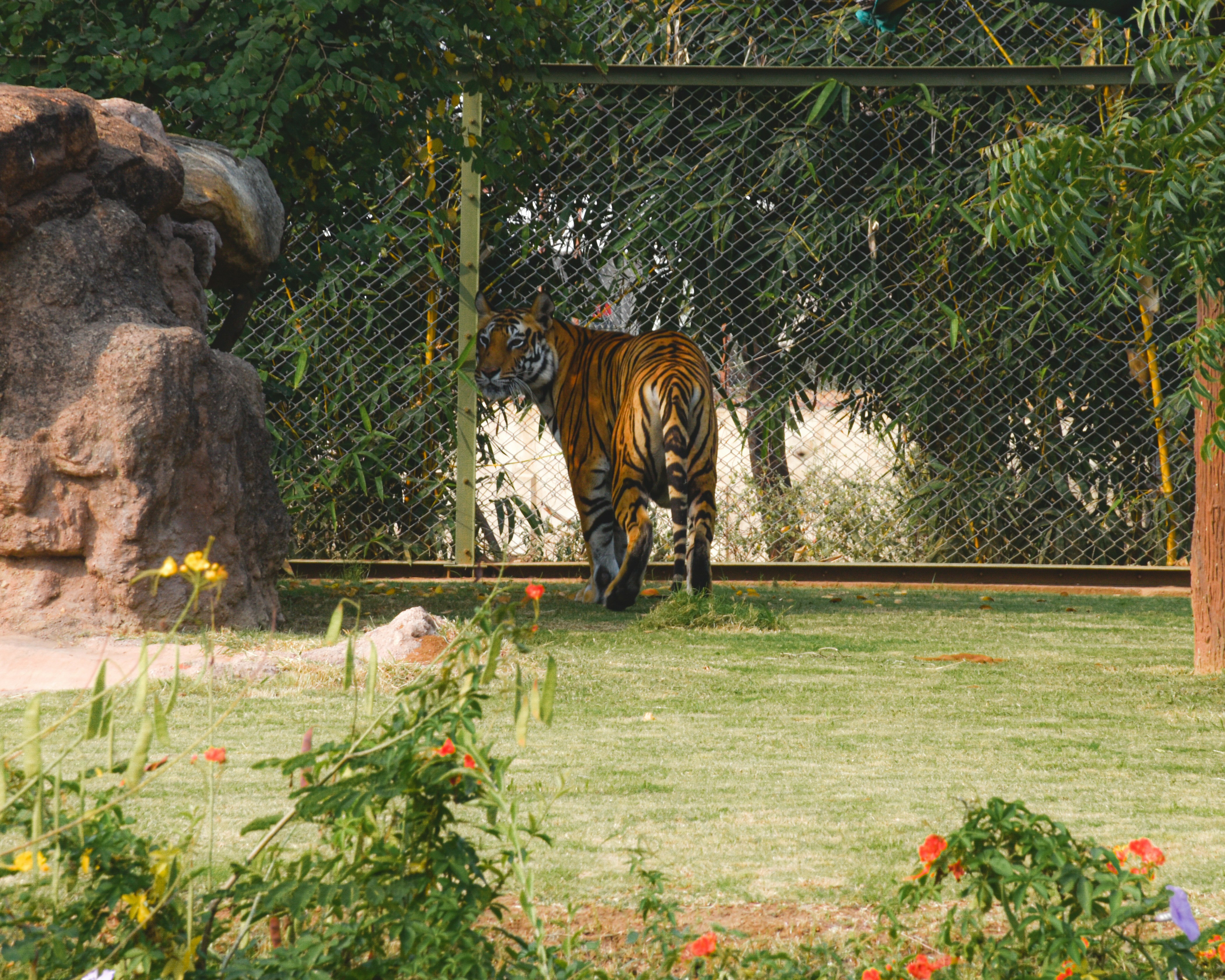 Photo by Ranjana Rajput with Nikon D5600