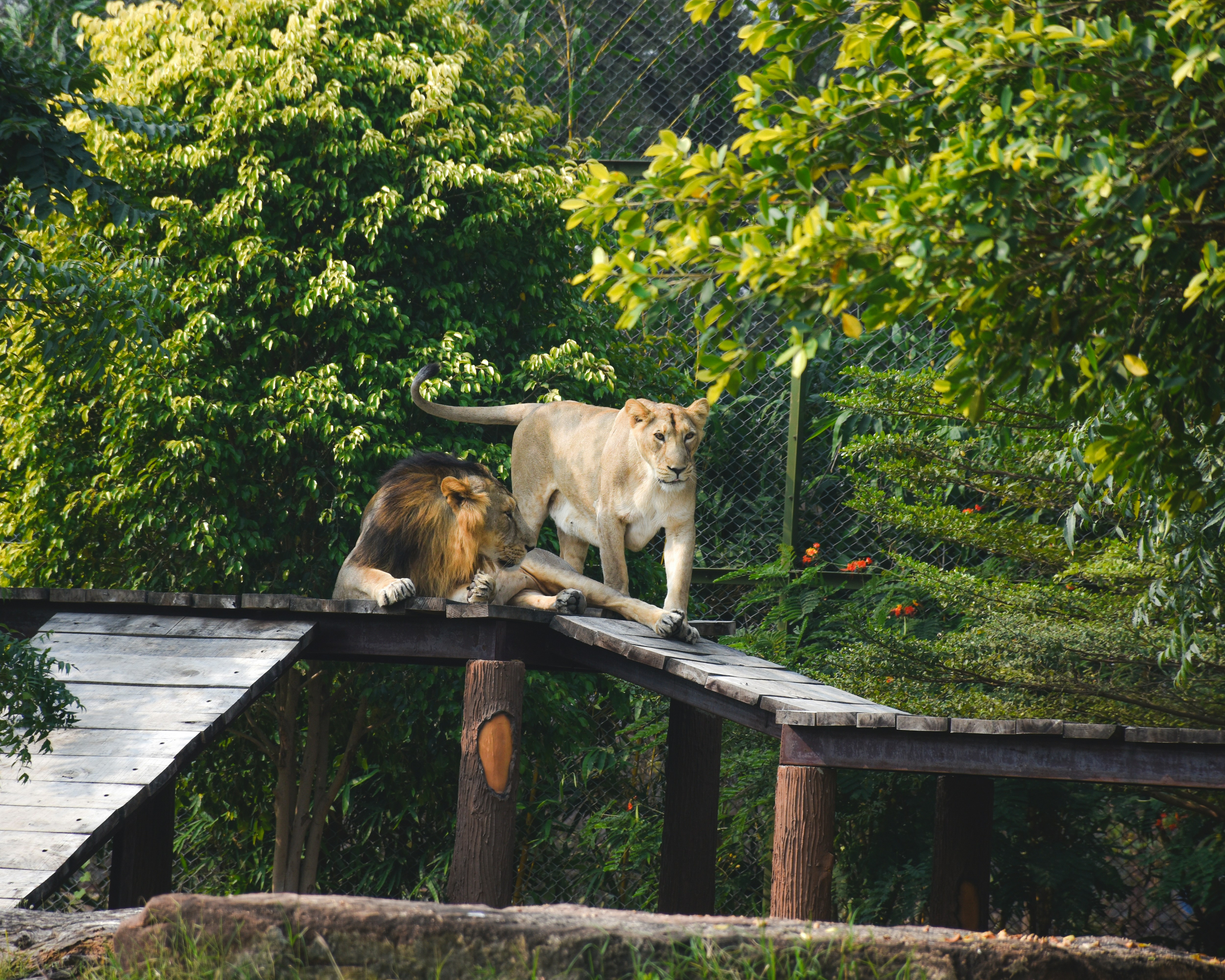 Photo by Ranjana Rajput with Nikon D5600