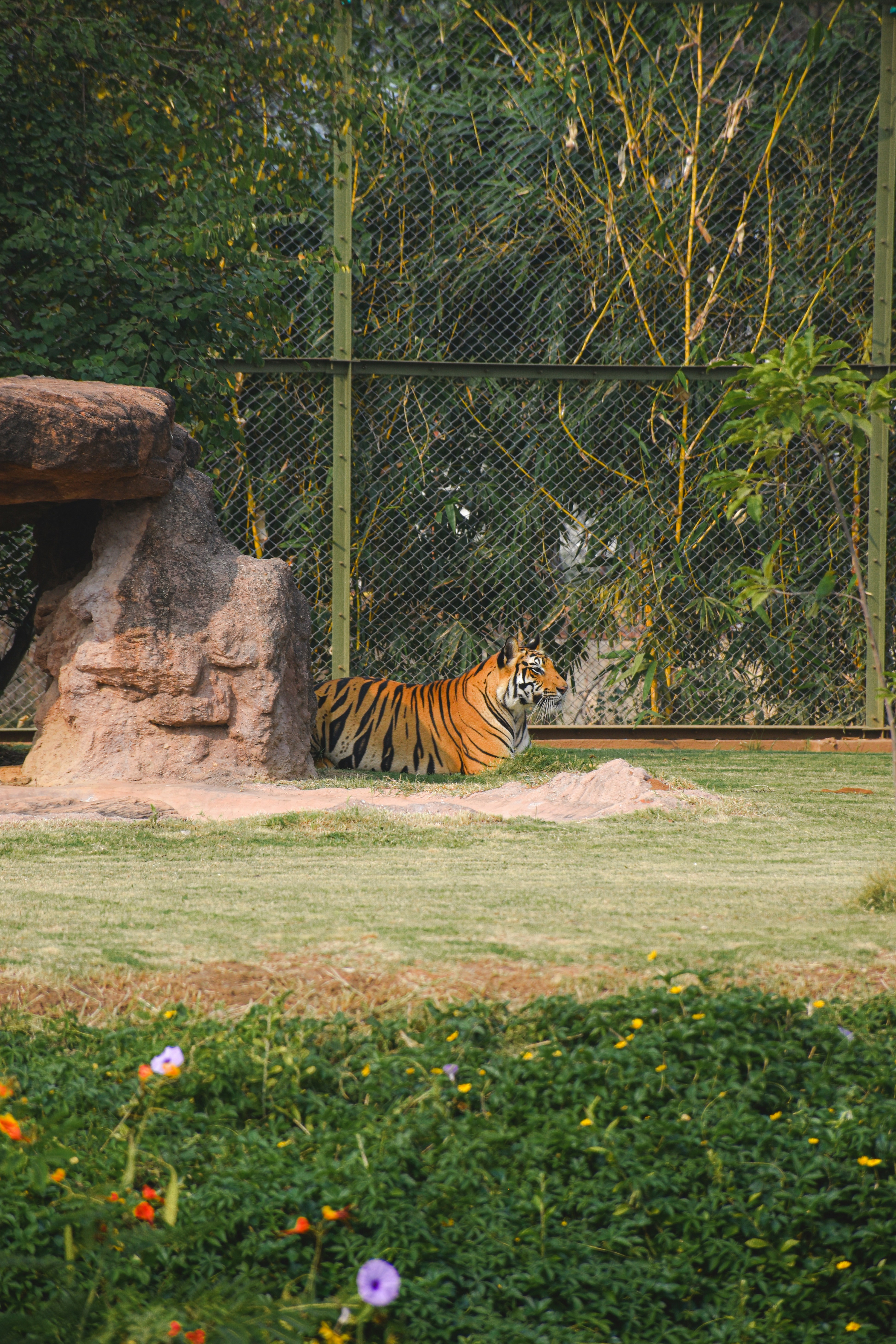 Photo by Ranjana Rajput with Nikon D5600