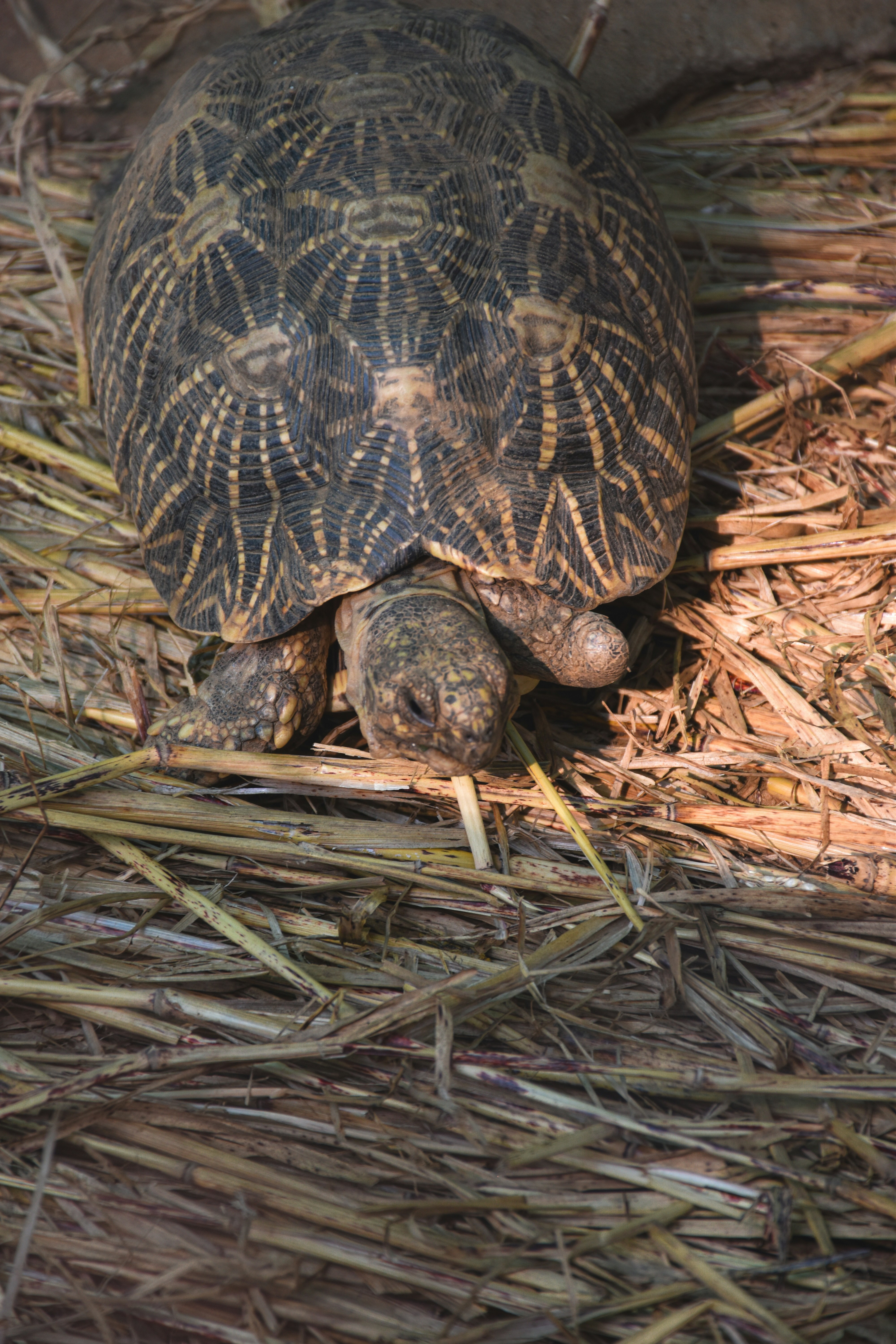 Photo by Ranjana Rajput with Nikon D5600