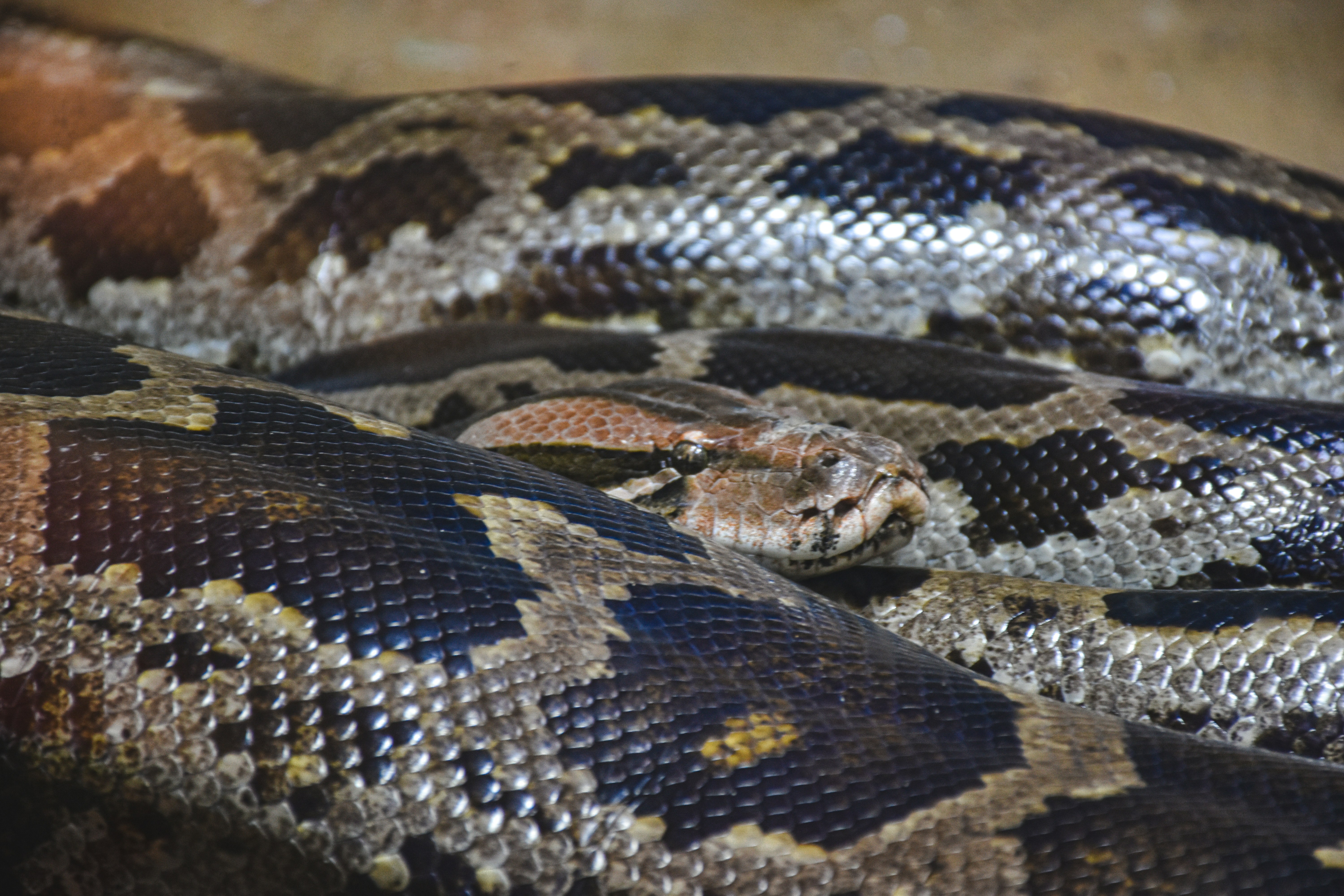 Photo by Ranjana Rajput with Nikon D5600