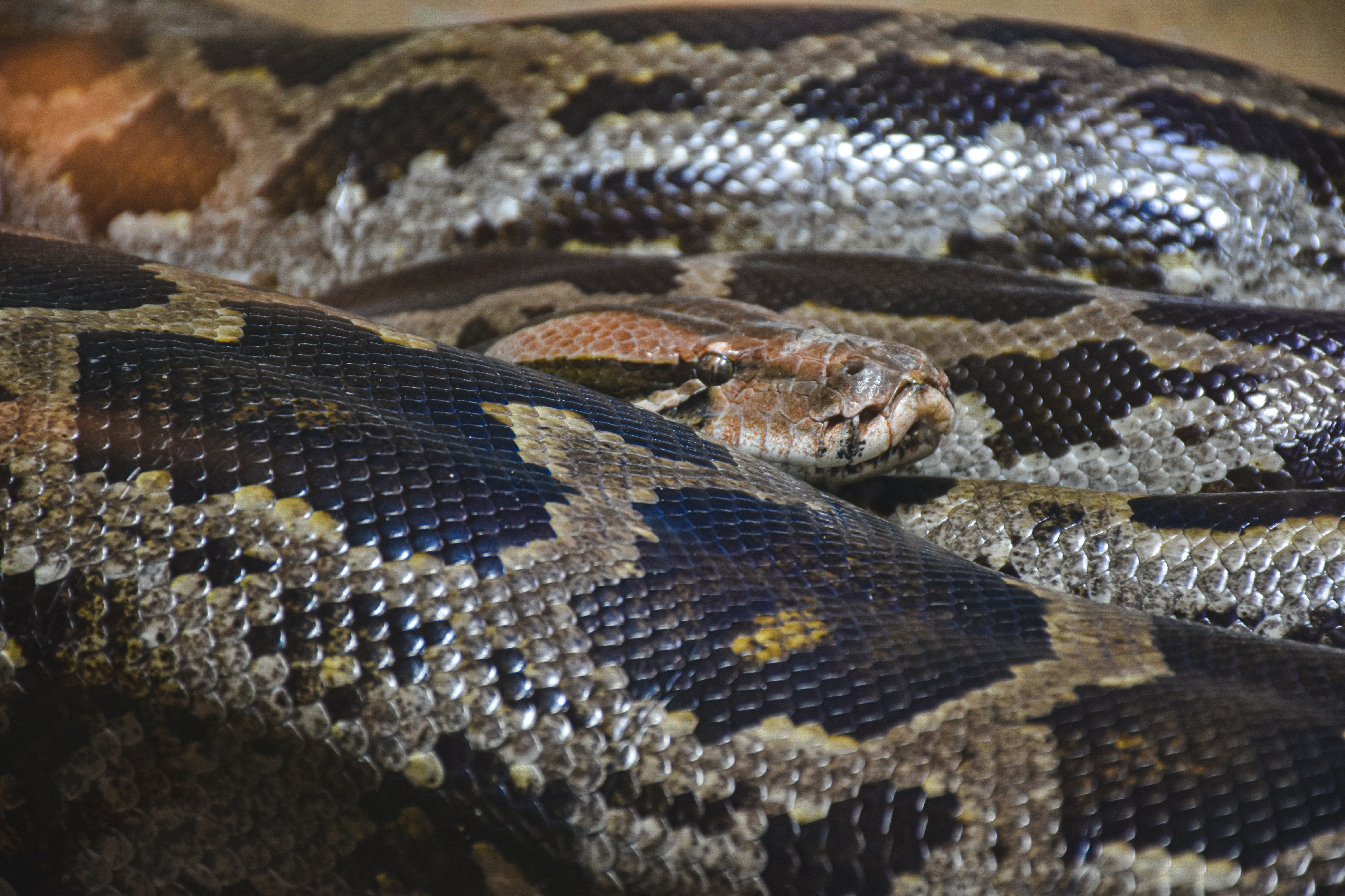 Photo by Ranjana Rajput with Nikon D5600