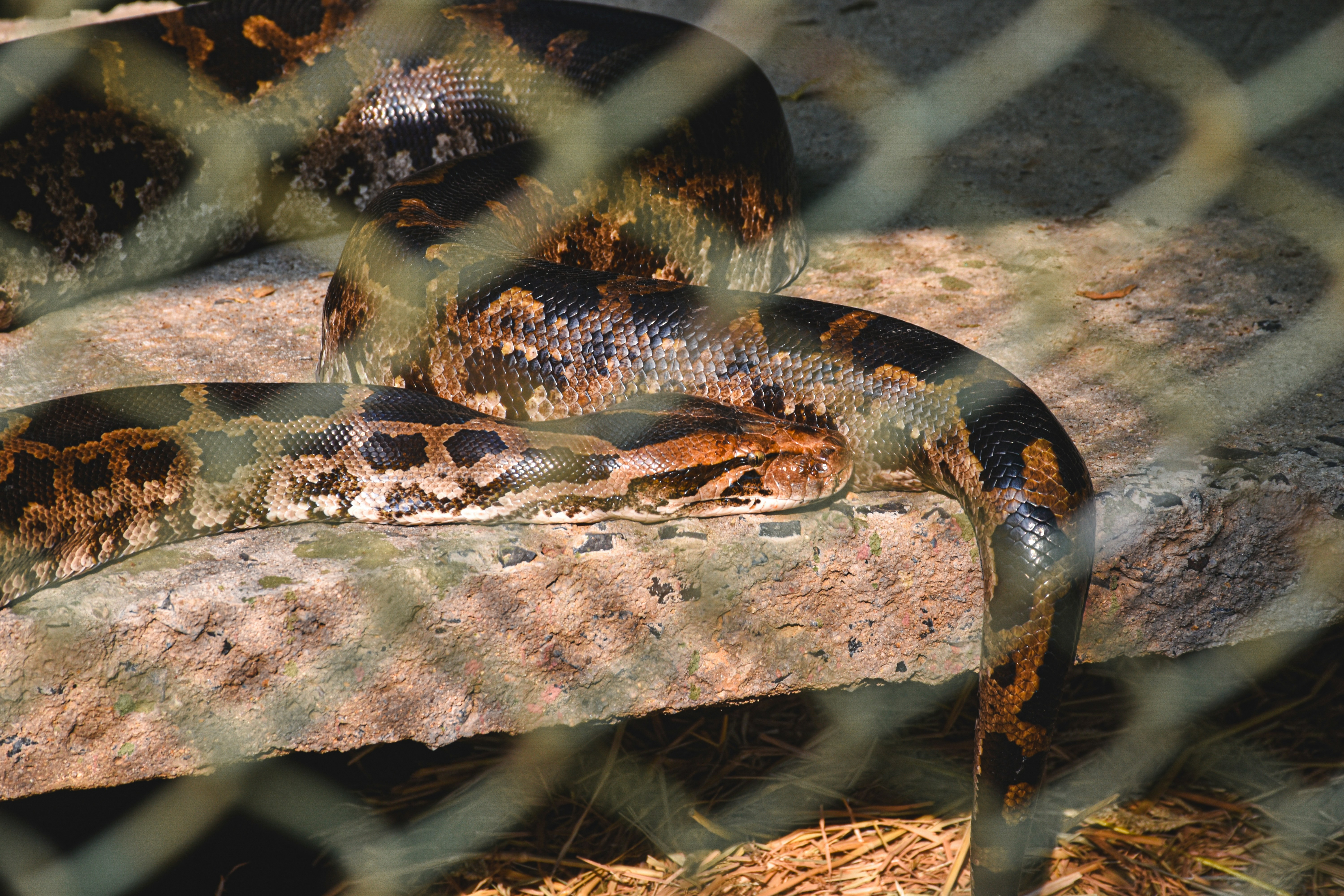 Photo by Ranjana Rajput with Nikon D5600