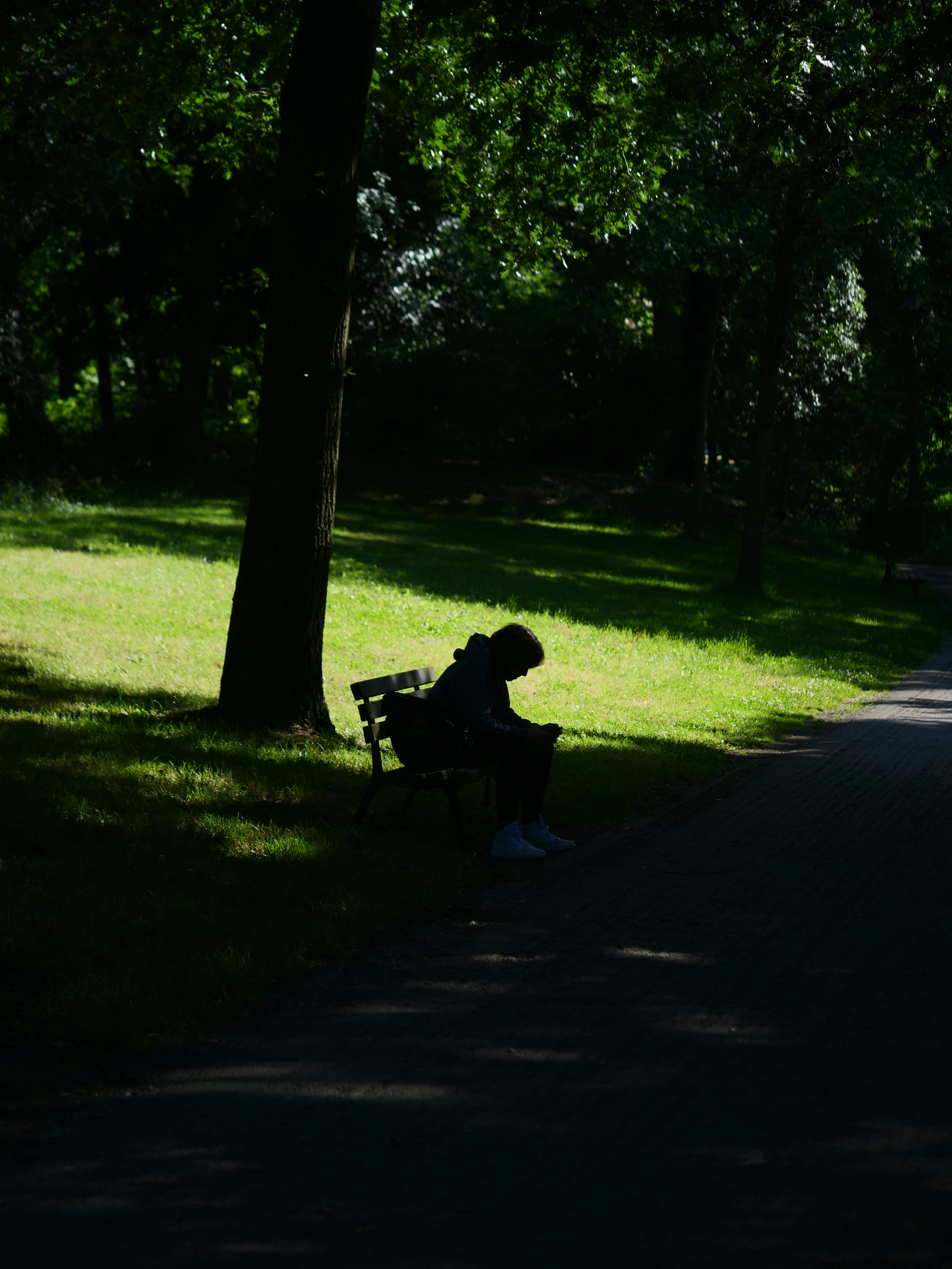 Silhouetted Companion on a Park Bench in Dappled Light