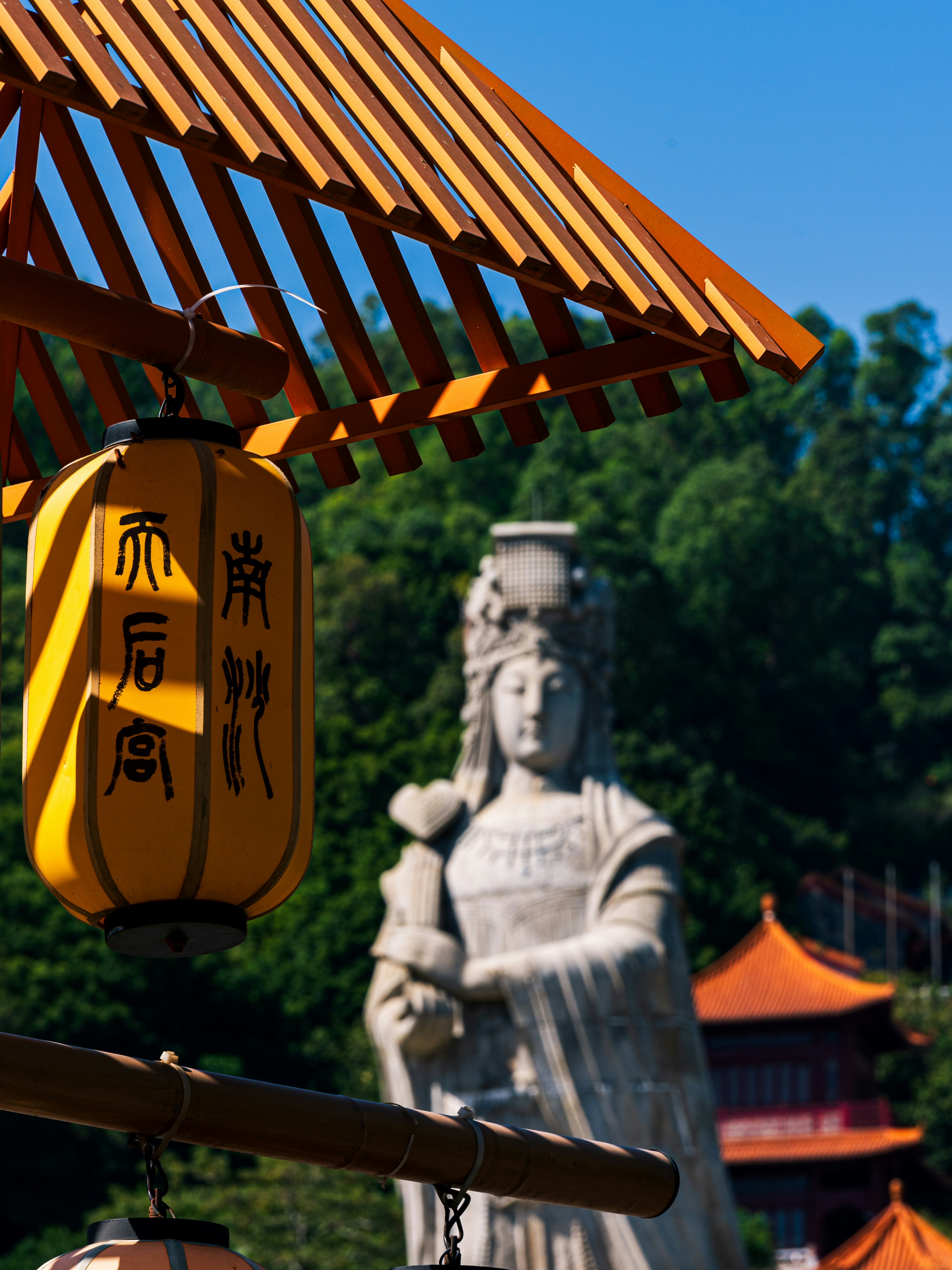 Photo by Zheng XUE with Nikon Z6 III