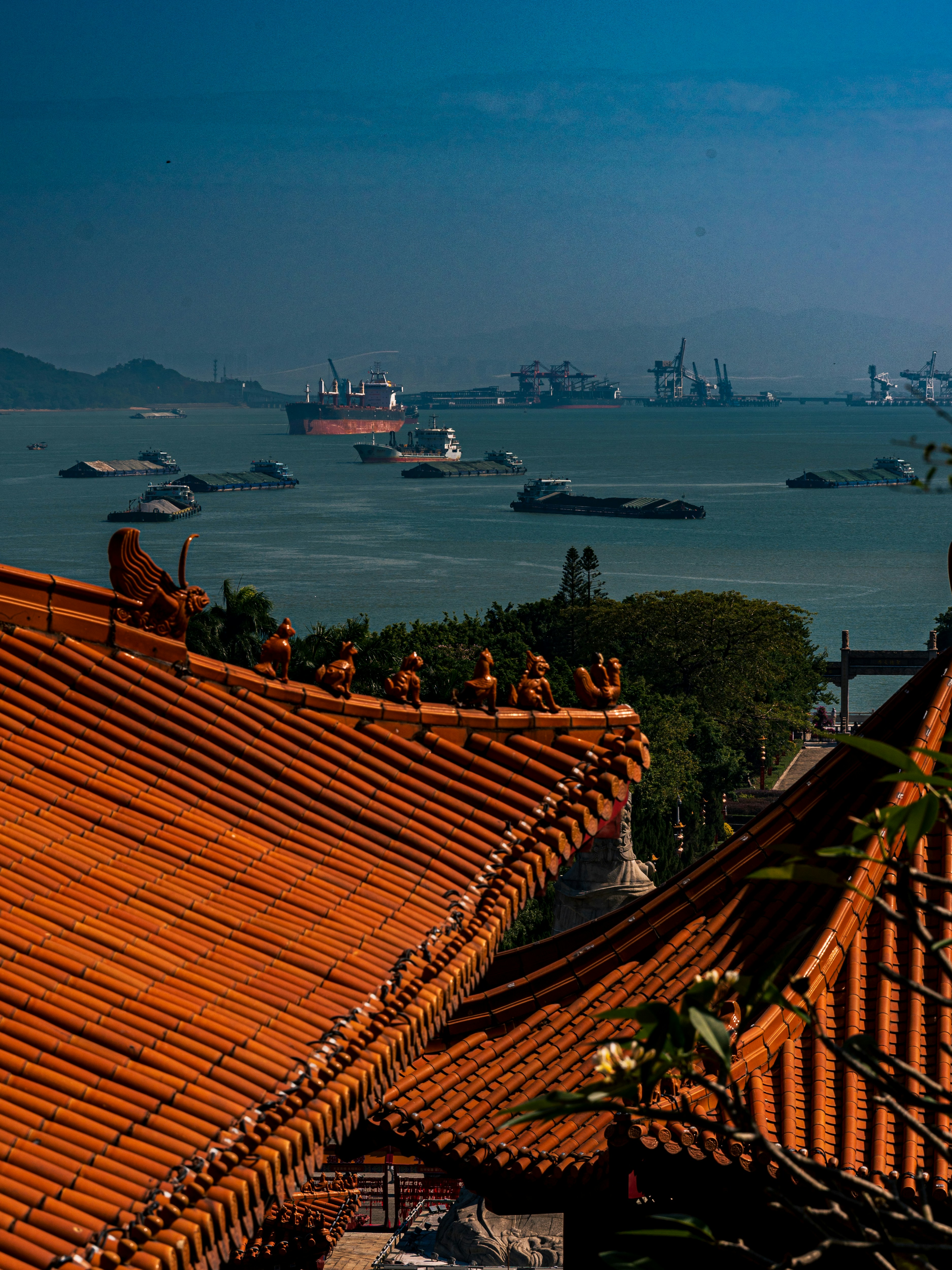 Terracotta Rooflines Over a Harbor at Dusk