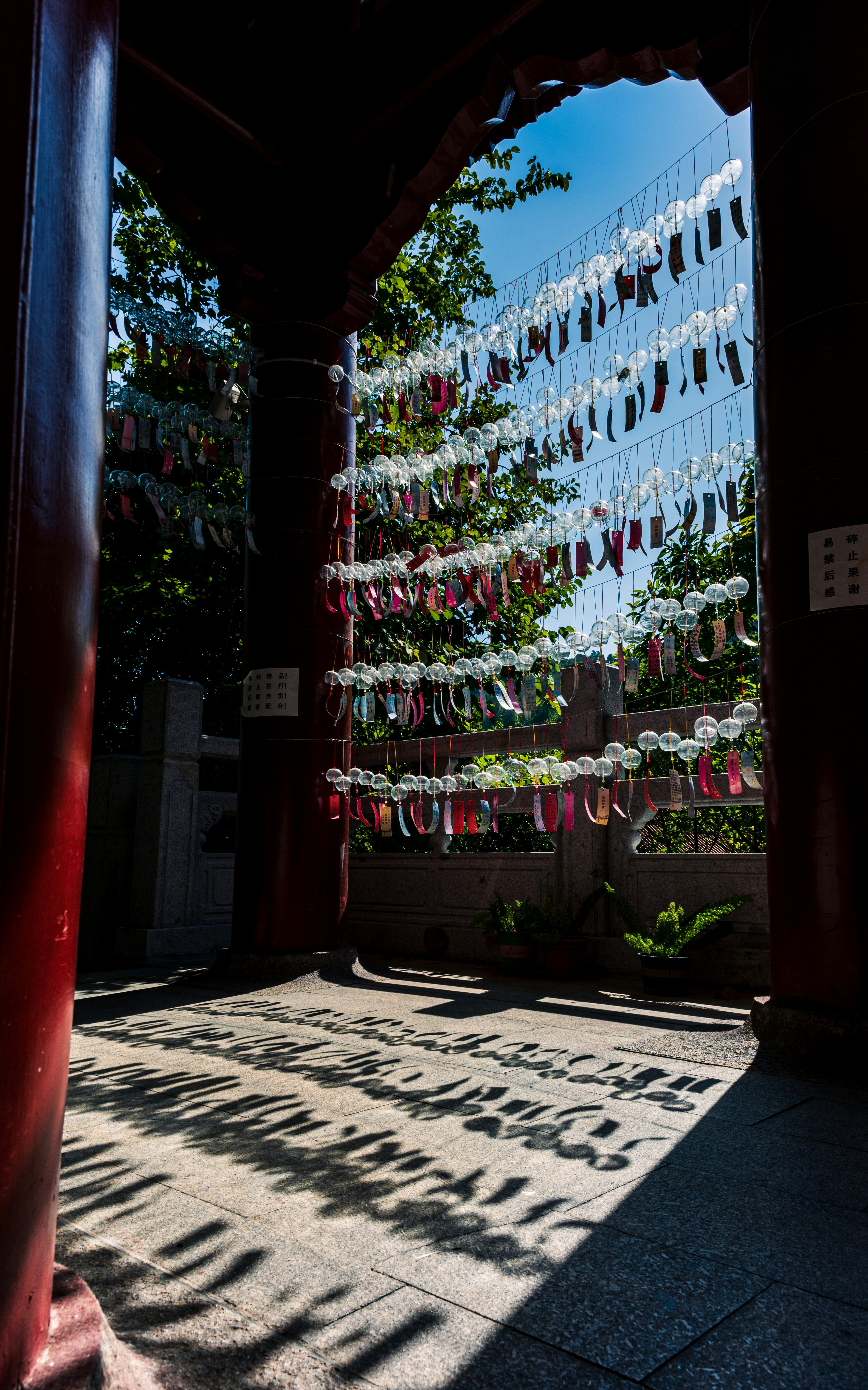 Photo by Zheng XUE with Nikon Z6 III