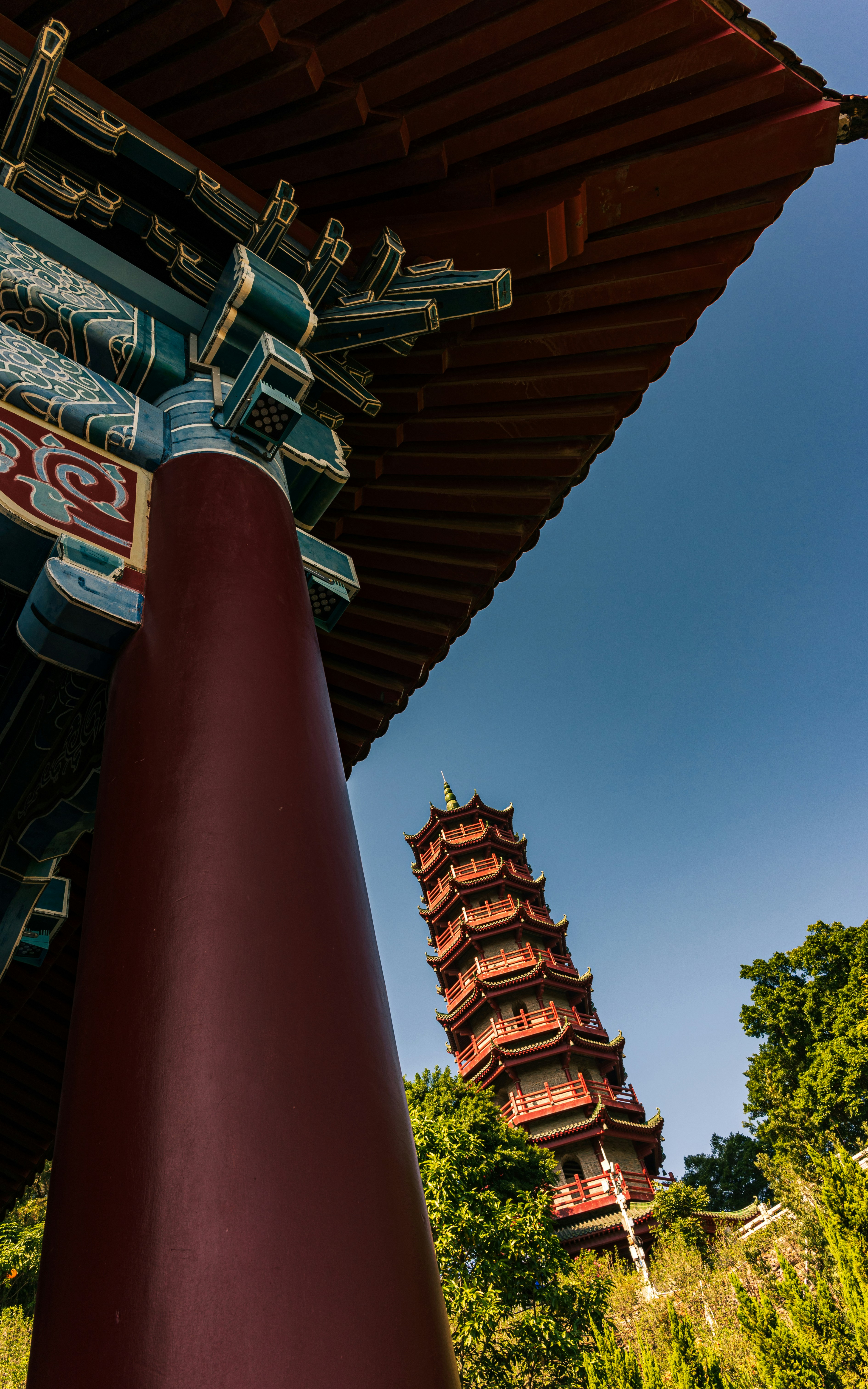 Photo by Zheng XUE with Nikon Z6 III