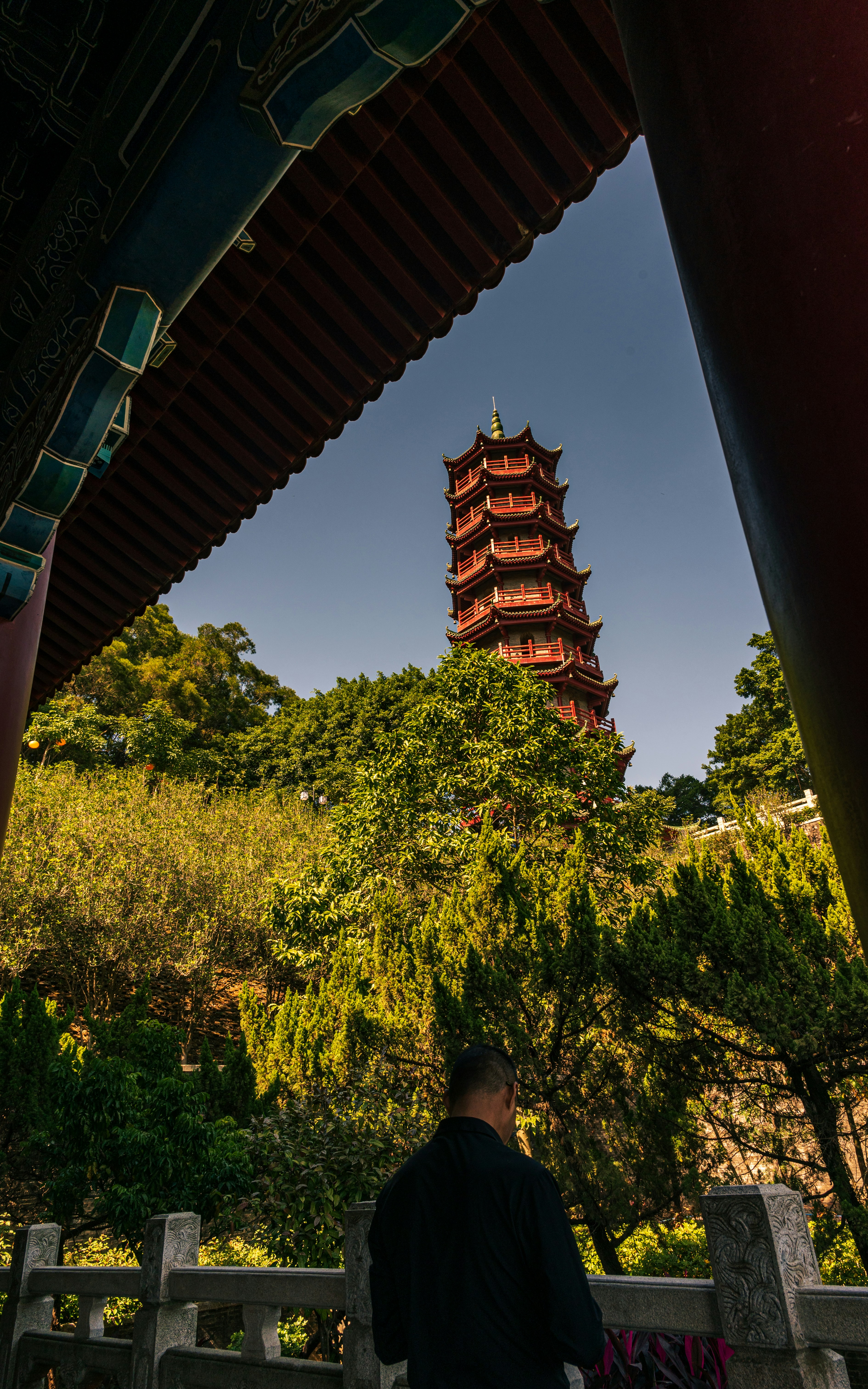 Photo by Zheng XUE with Nikon Z6 III