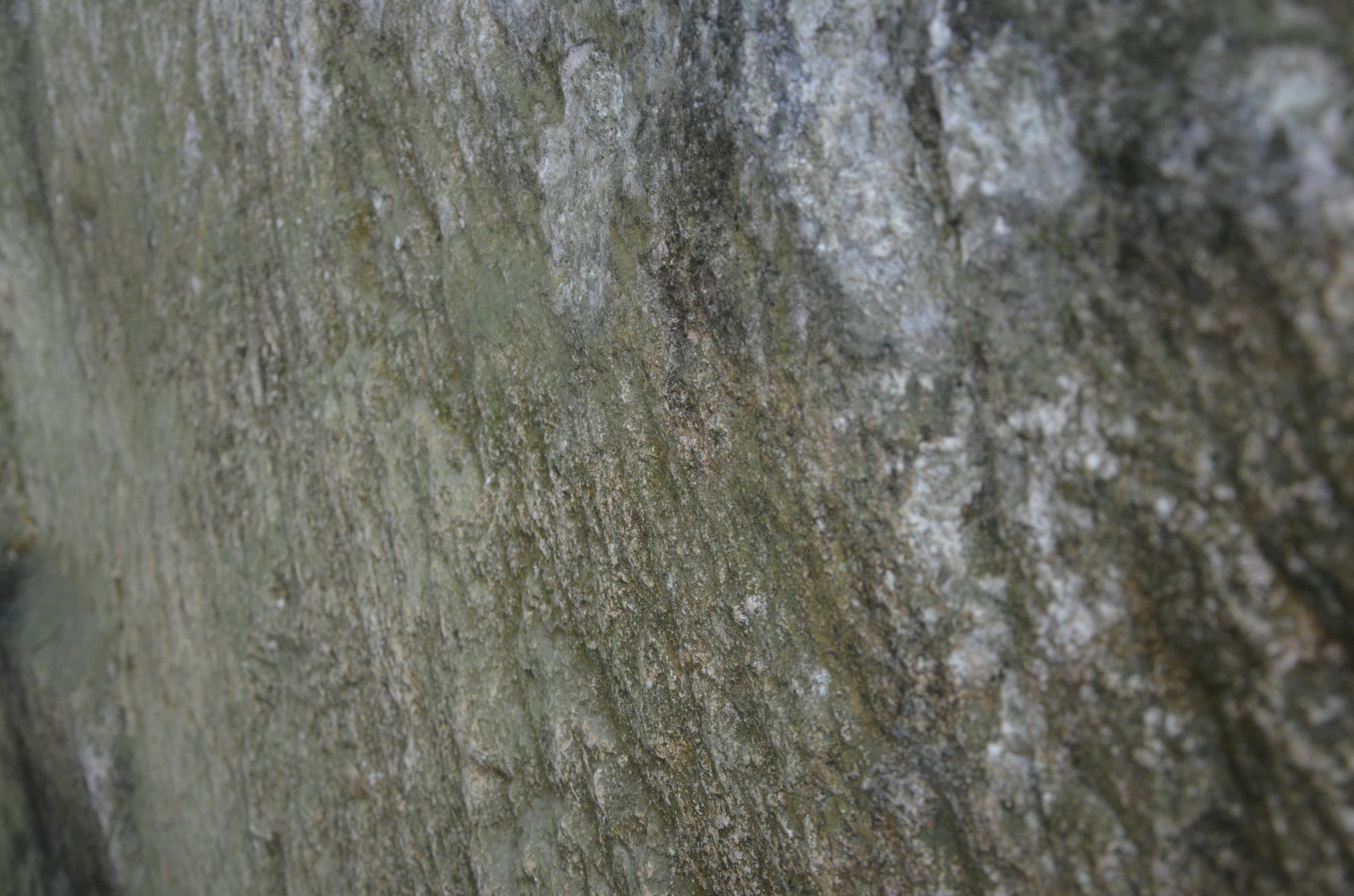 Photo by Jasper Campbell with Nikon D5100