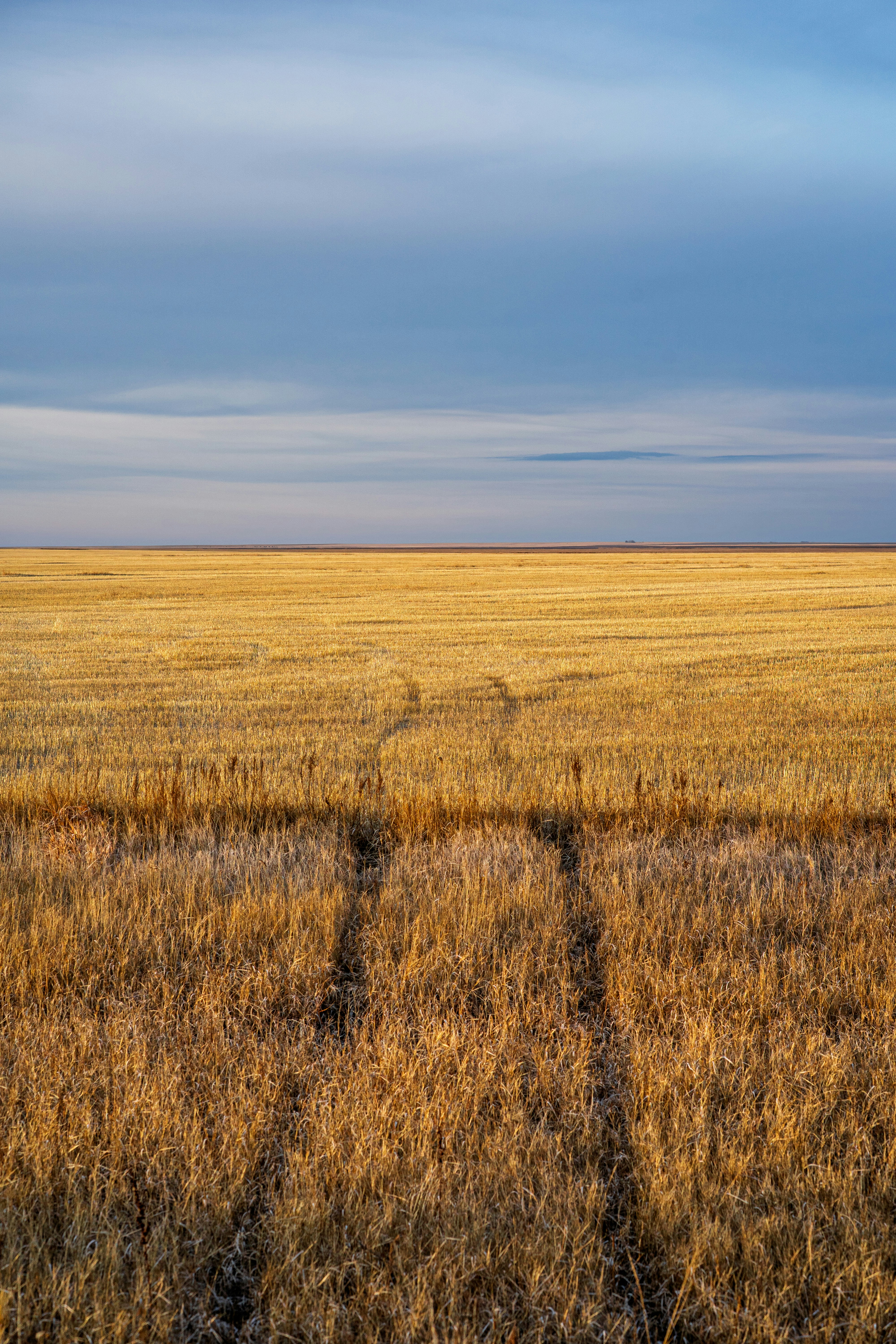 Photo by Azimbek Assarov with Sony Alpha 7 III